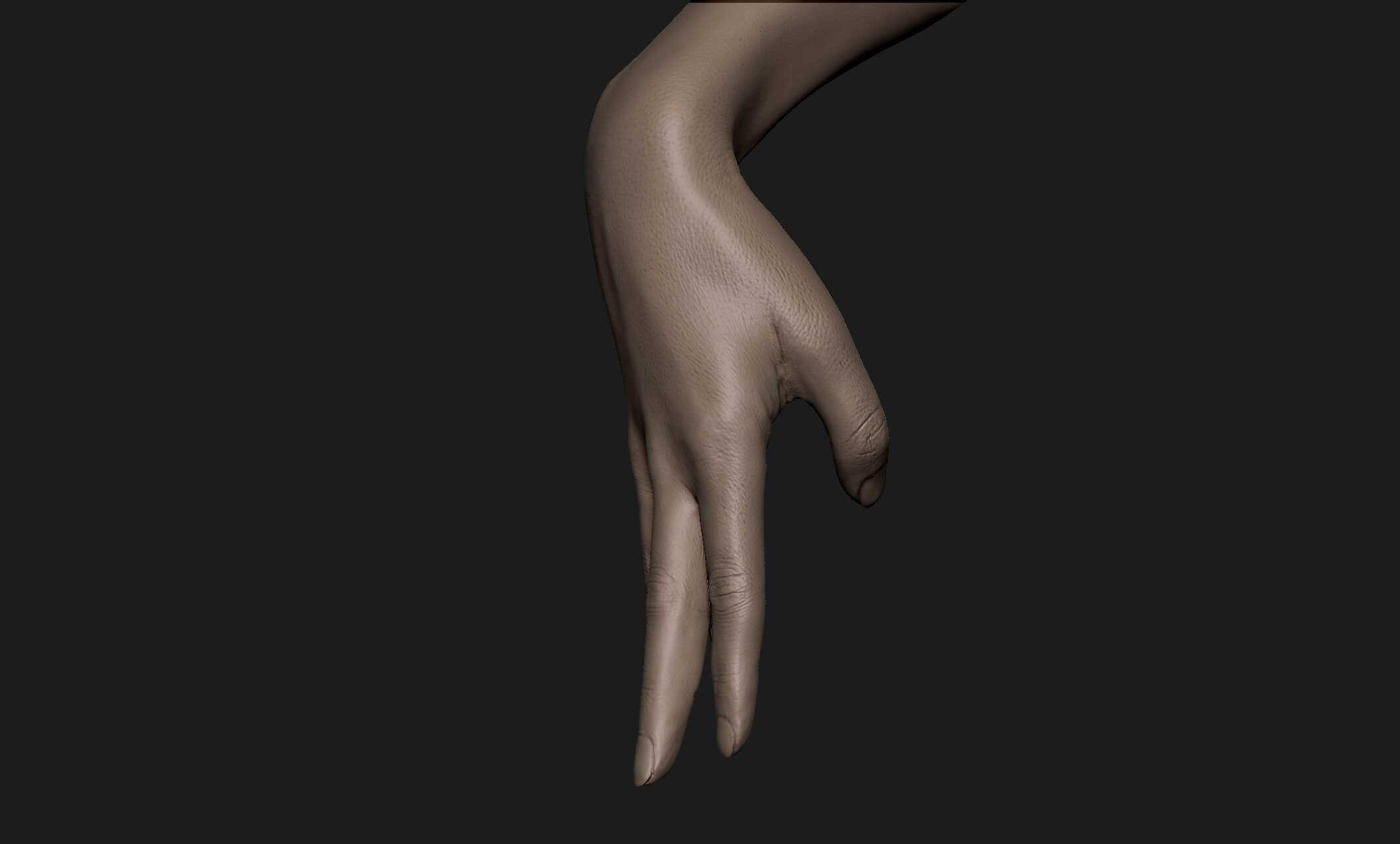 Realistic Female Hand 3 - 3D Model by grihaos001