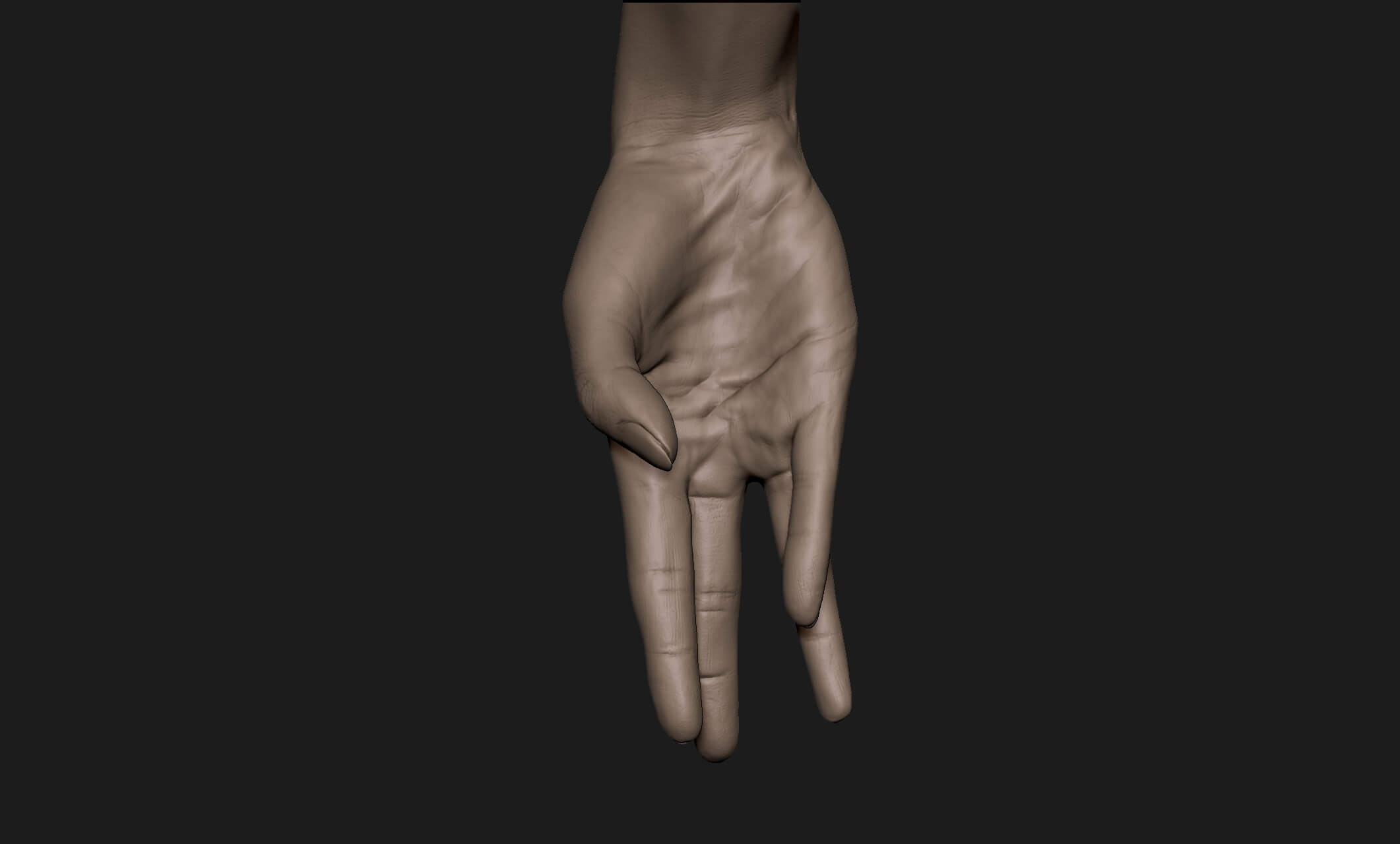 Realistic Female Hand 3 - 3D Model by grihaos001