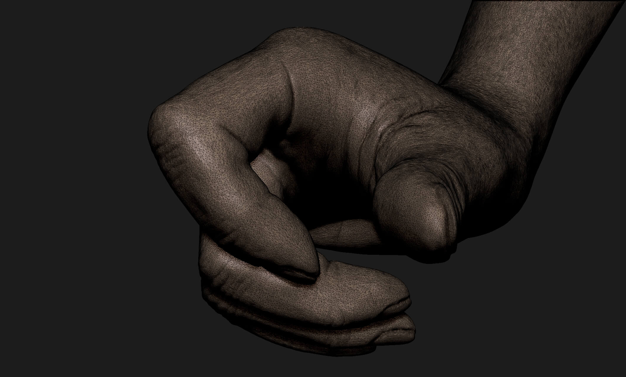 Realistic Female Hand 4 - 3D Model by grihaos001