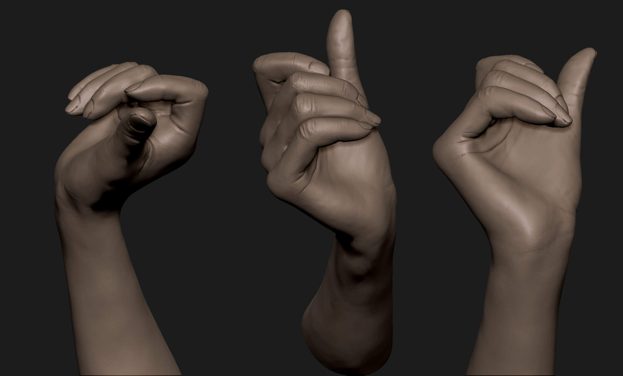 Realistic Female Hand 4 - 3D Model by grihaos001