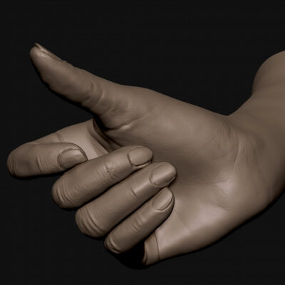 Realistic Female Hand 4 - 3D Model by grihaos001