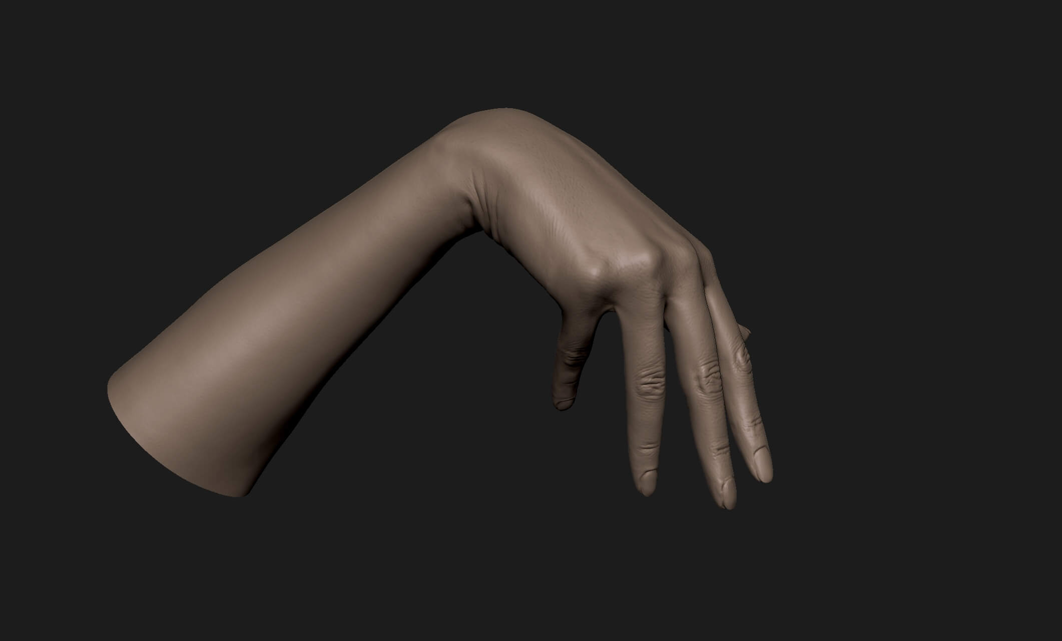 Realistic Female Hand 5 - 3D Model by grihaos001