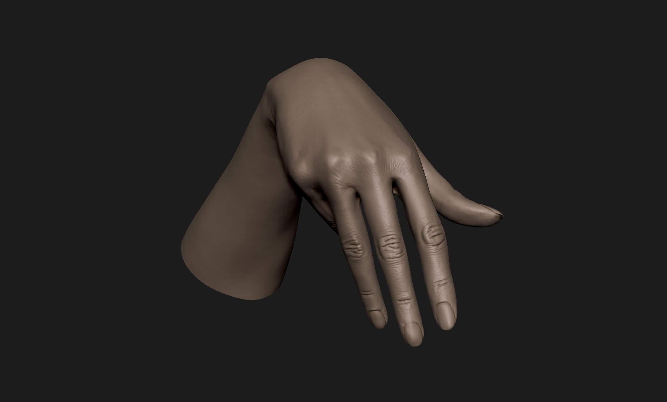 Realistic Female Hand 5 - 3D Print Model by grihaos001