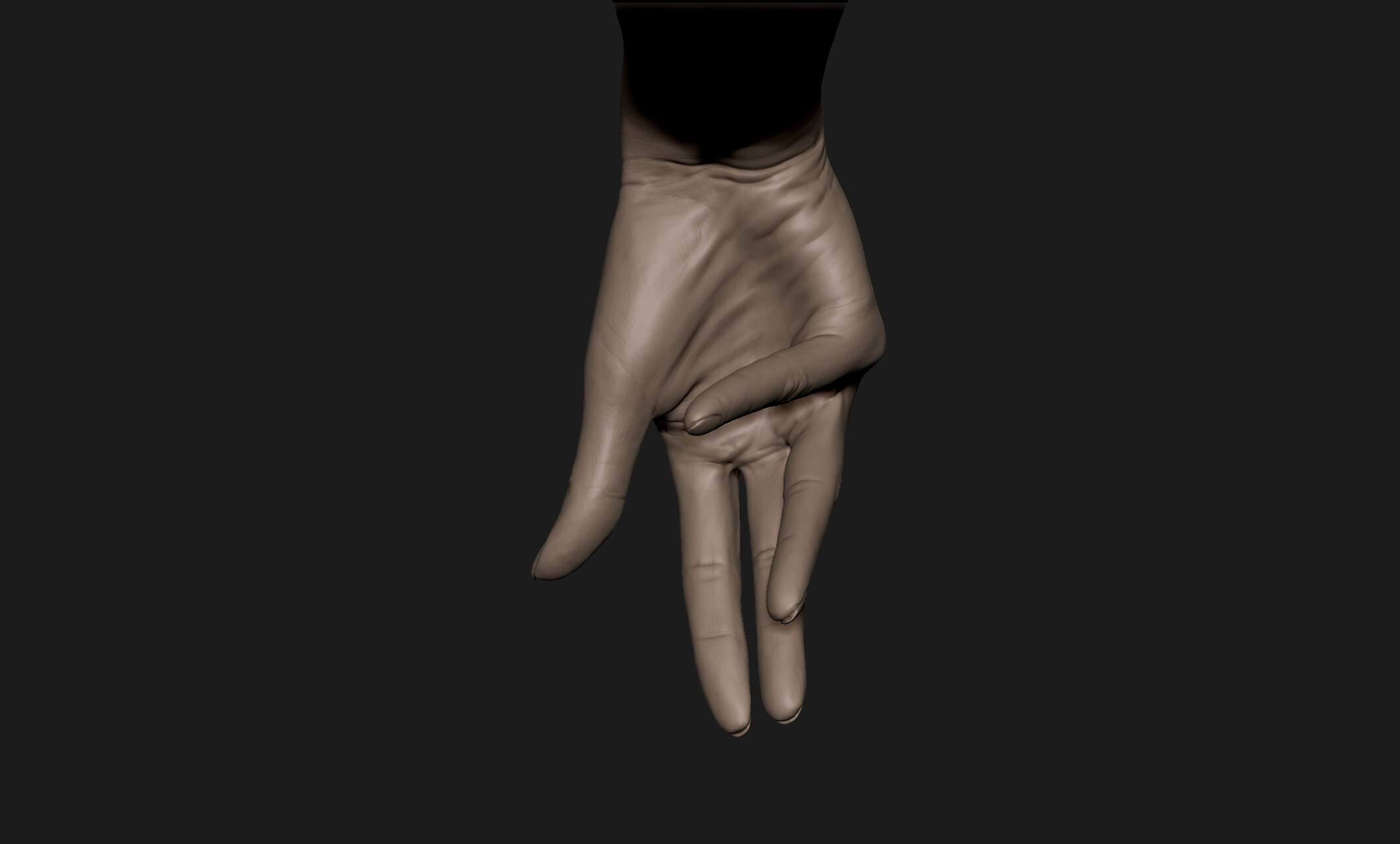 Realistic Female Hand 5 - 3D Model by grihaos001
