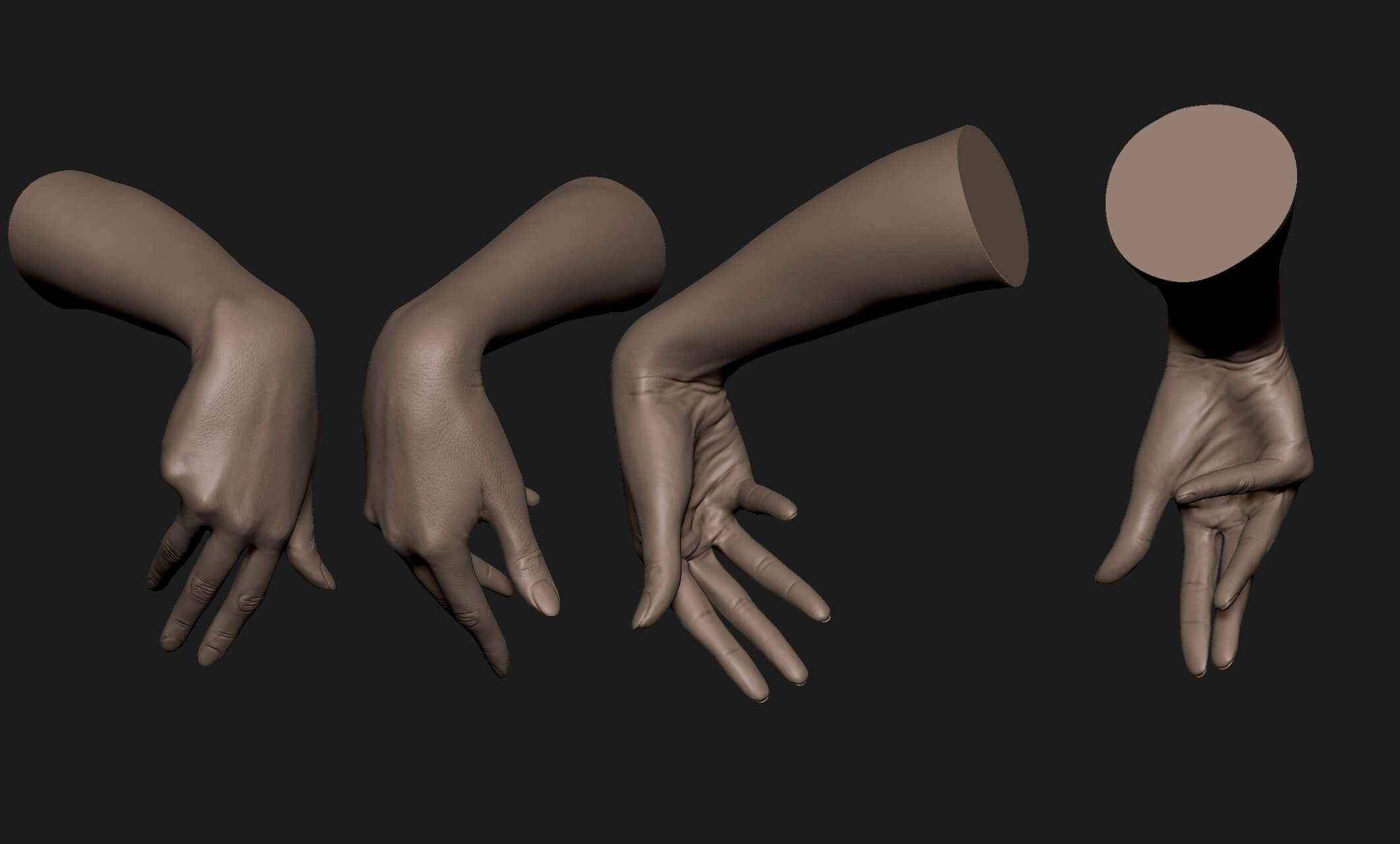 Realistic Female Hand 5 - 3D Model by grihaos001