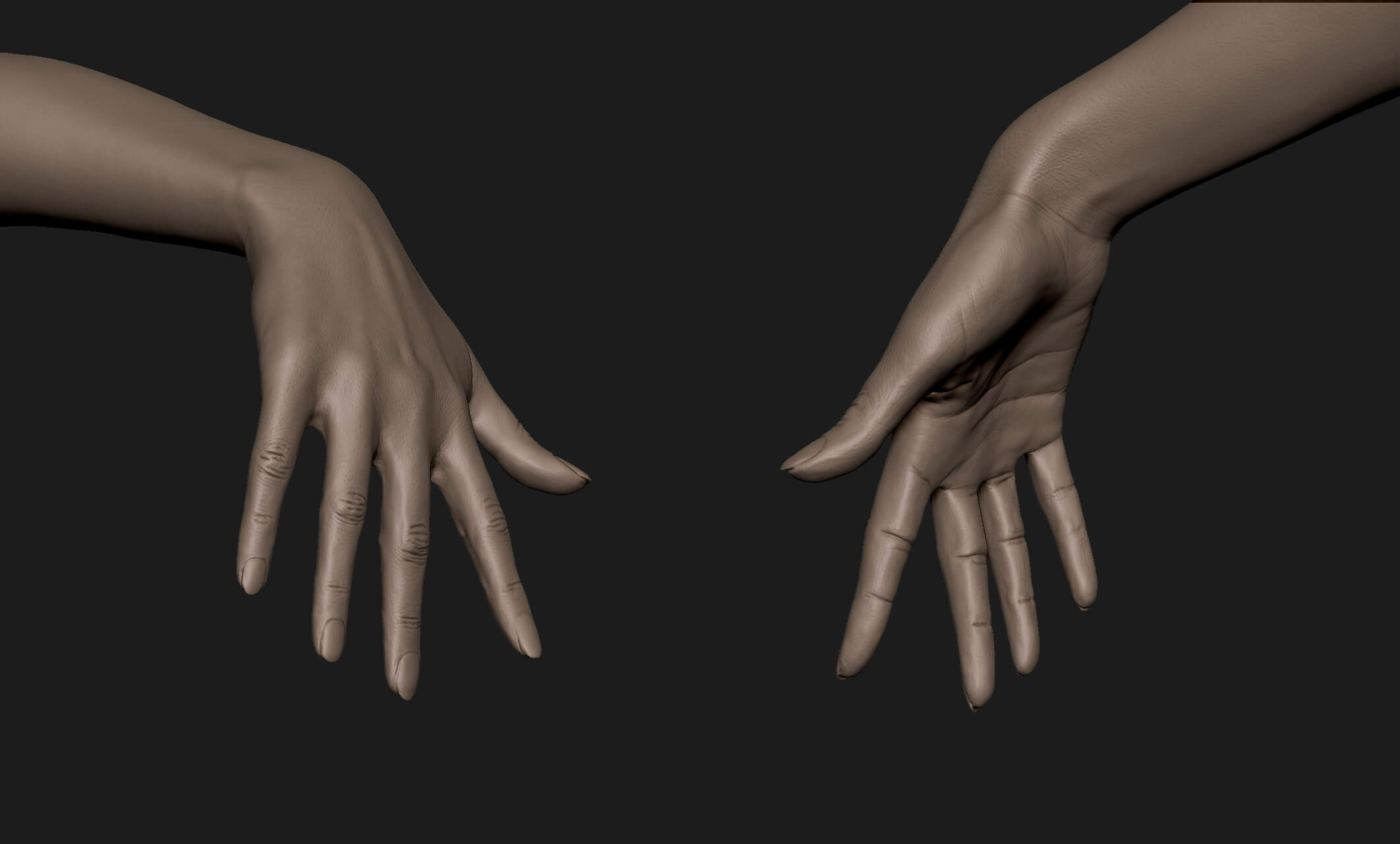Realistic Female Hand 6 - 3D Print Model by grihaos001