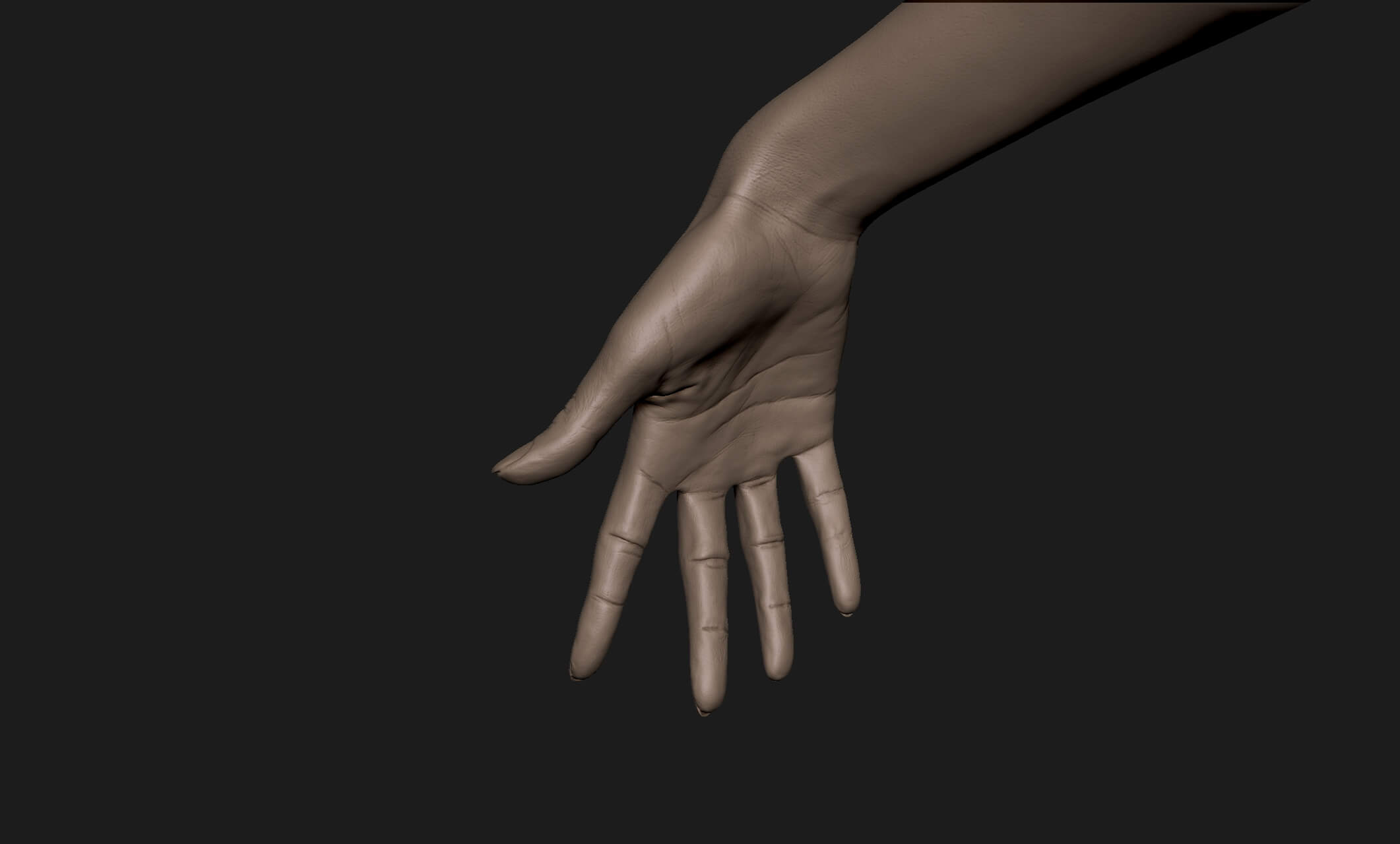 Realistic Female Hand 6 - 3D Print Model by grihaos001