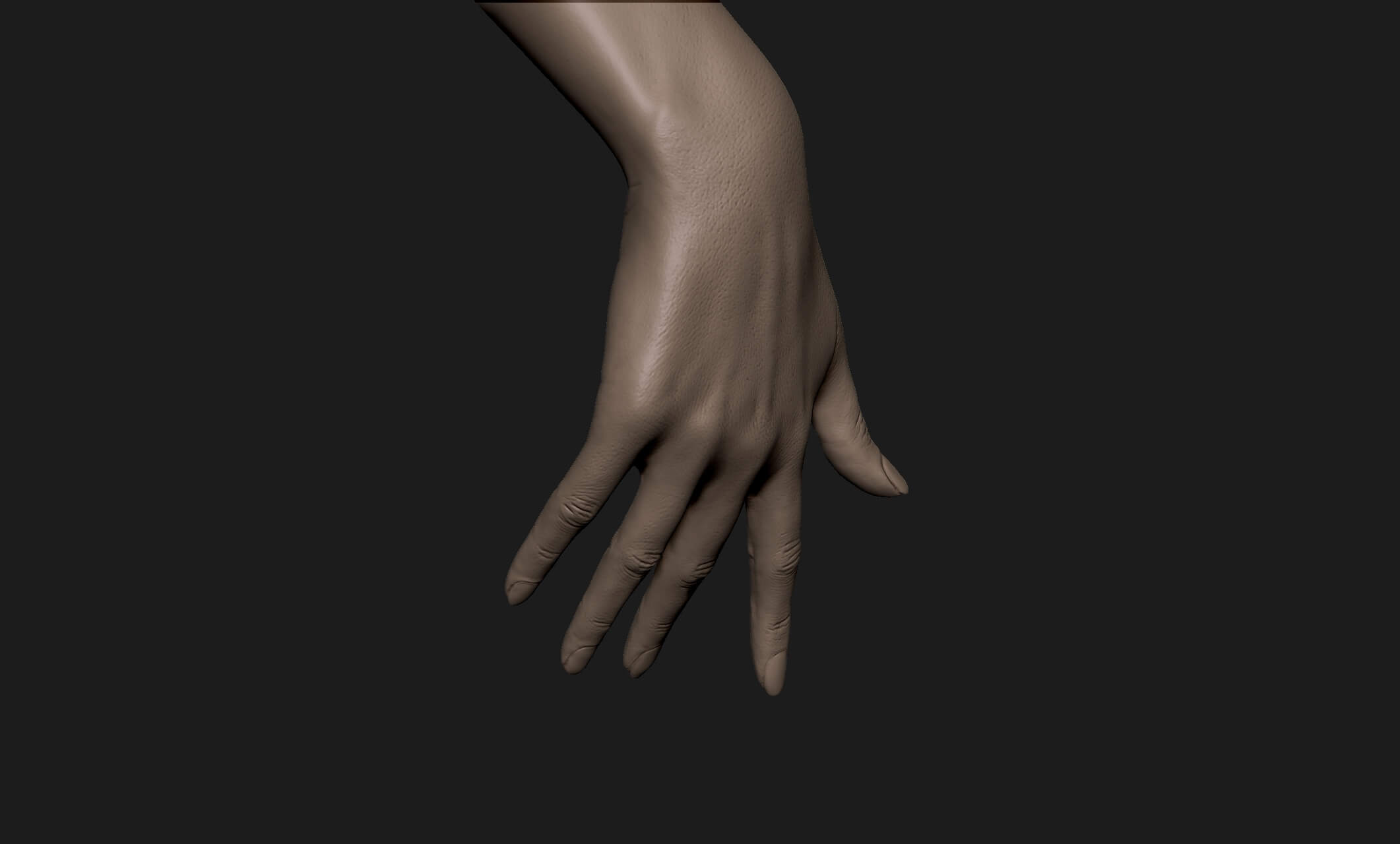 Realistic Female Hand 6 - 3D Print Model by grihaos001