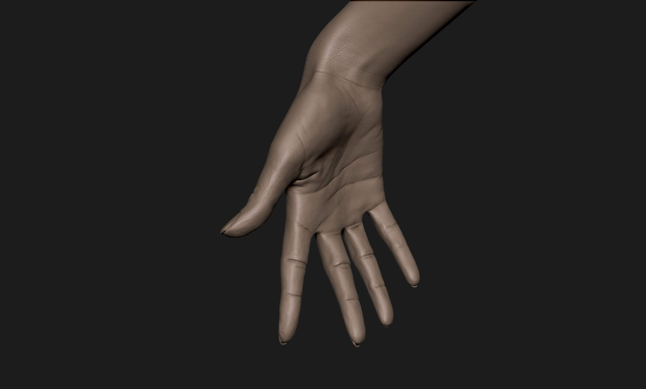 Realistic Female Hand 6 - 3D Print Model by grihaos001