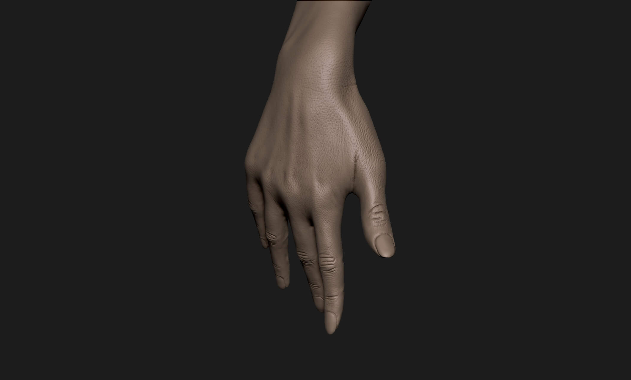 Realistic Female Hand 6 - 3D Print Model by grihaos001