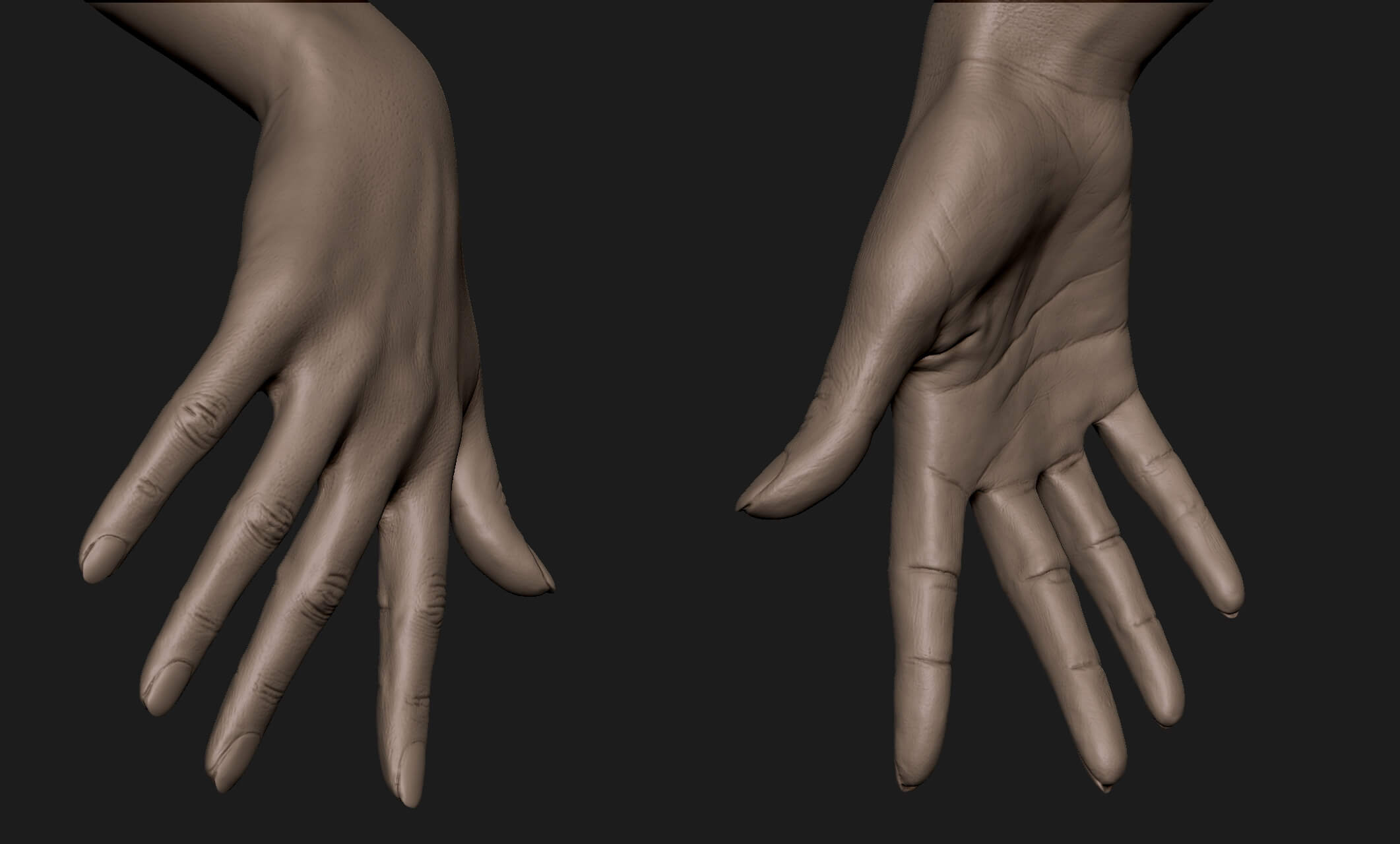 Realistic Female Hand 6 - 3D Print Model by grihaos001