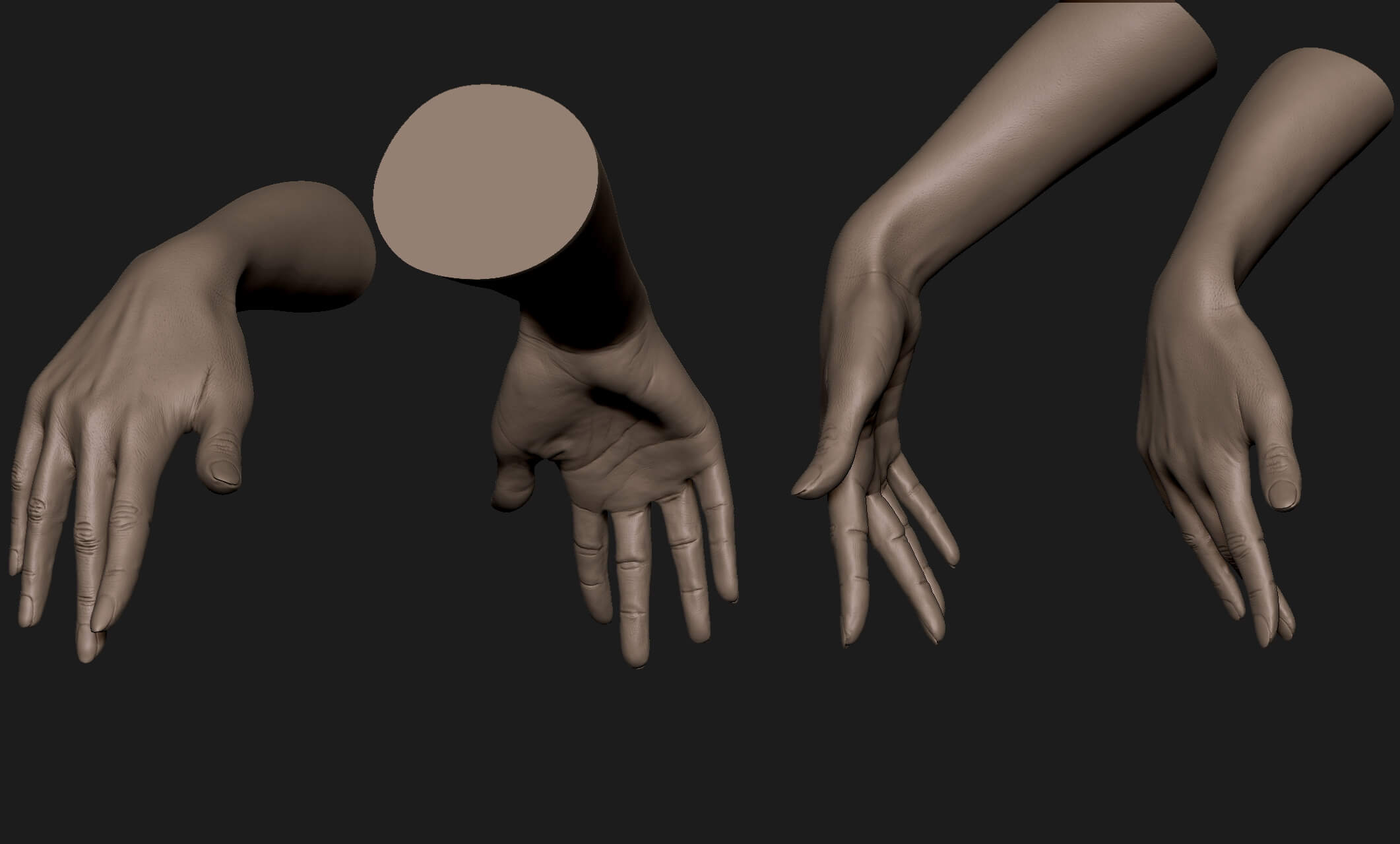 Realistic Female Hand 6 - 3D Model by grihaos001