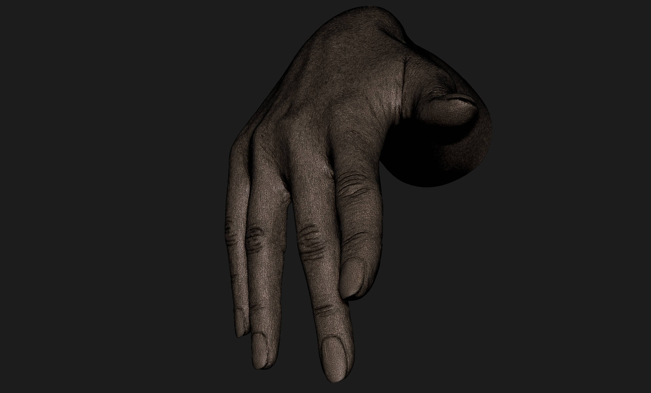 Realistic Female Hand 6 - 3D Model by grihaos001