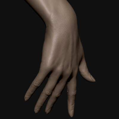 Female Hand Model Realistic Female Hand 6 3D Model By Grihaos001