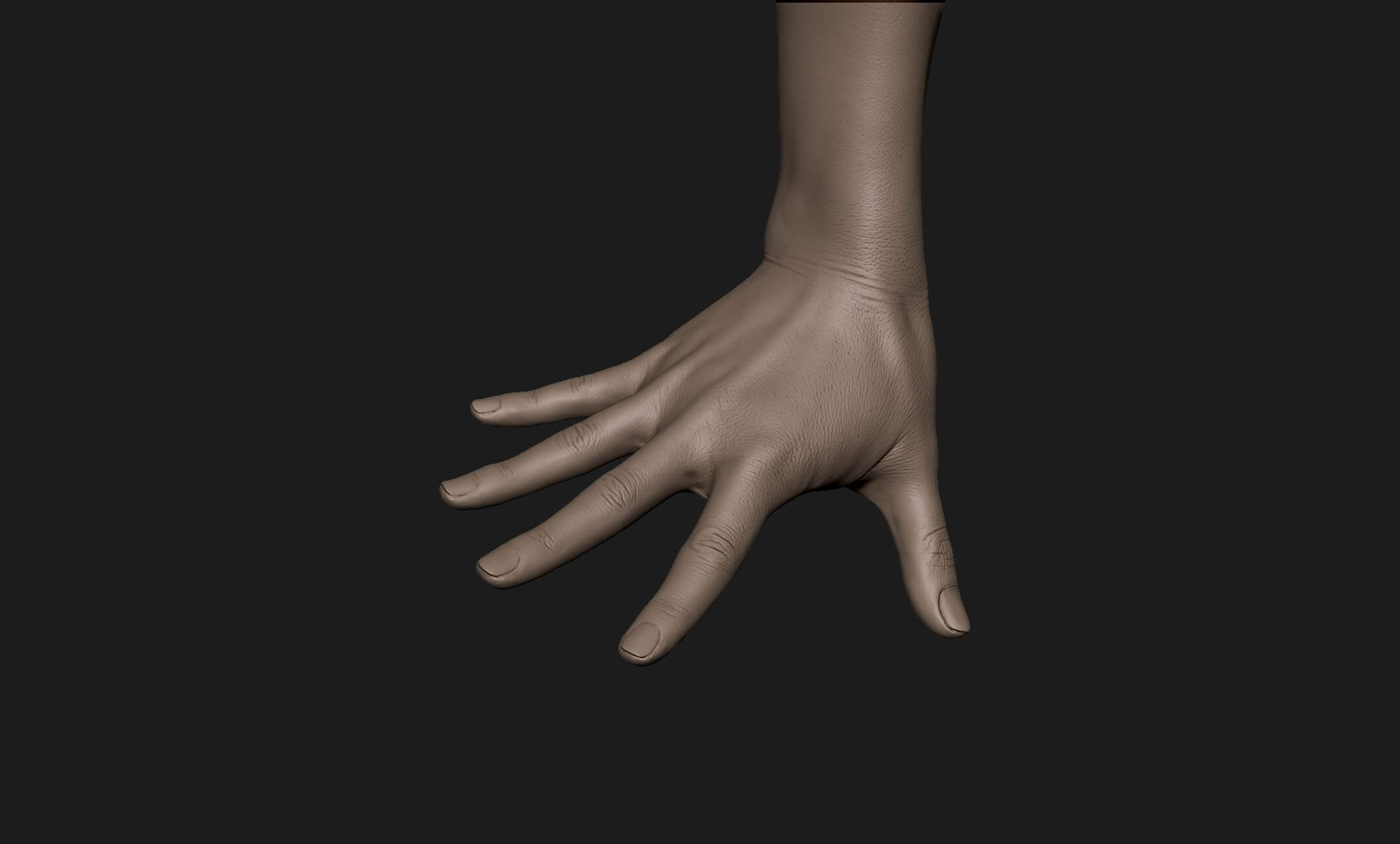 Realistic Female Hand 7 - 3D Model by grihaos001