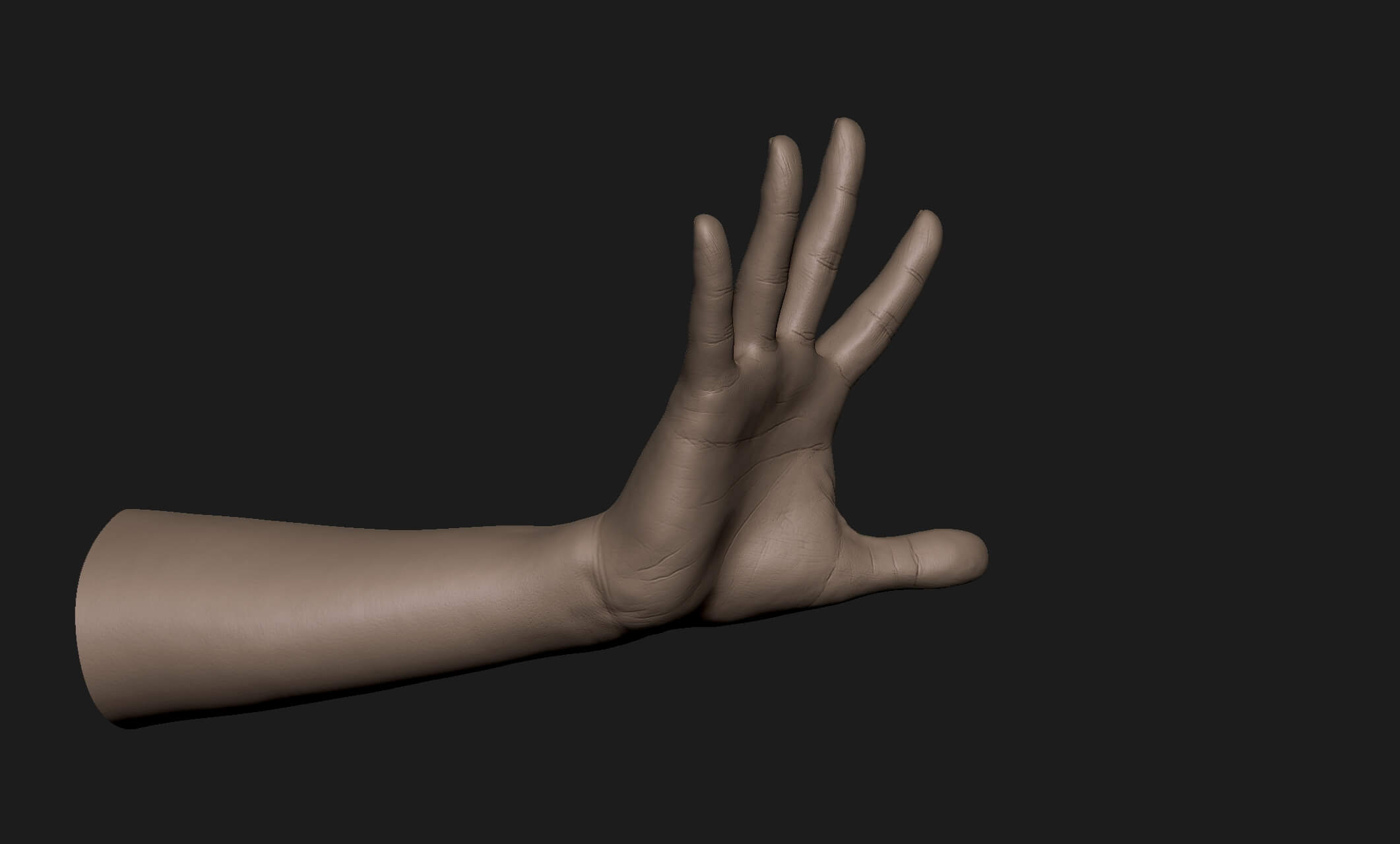 Realistic Female Hand 7 - 3D Model by grihaos001