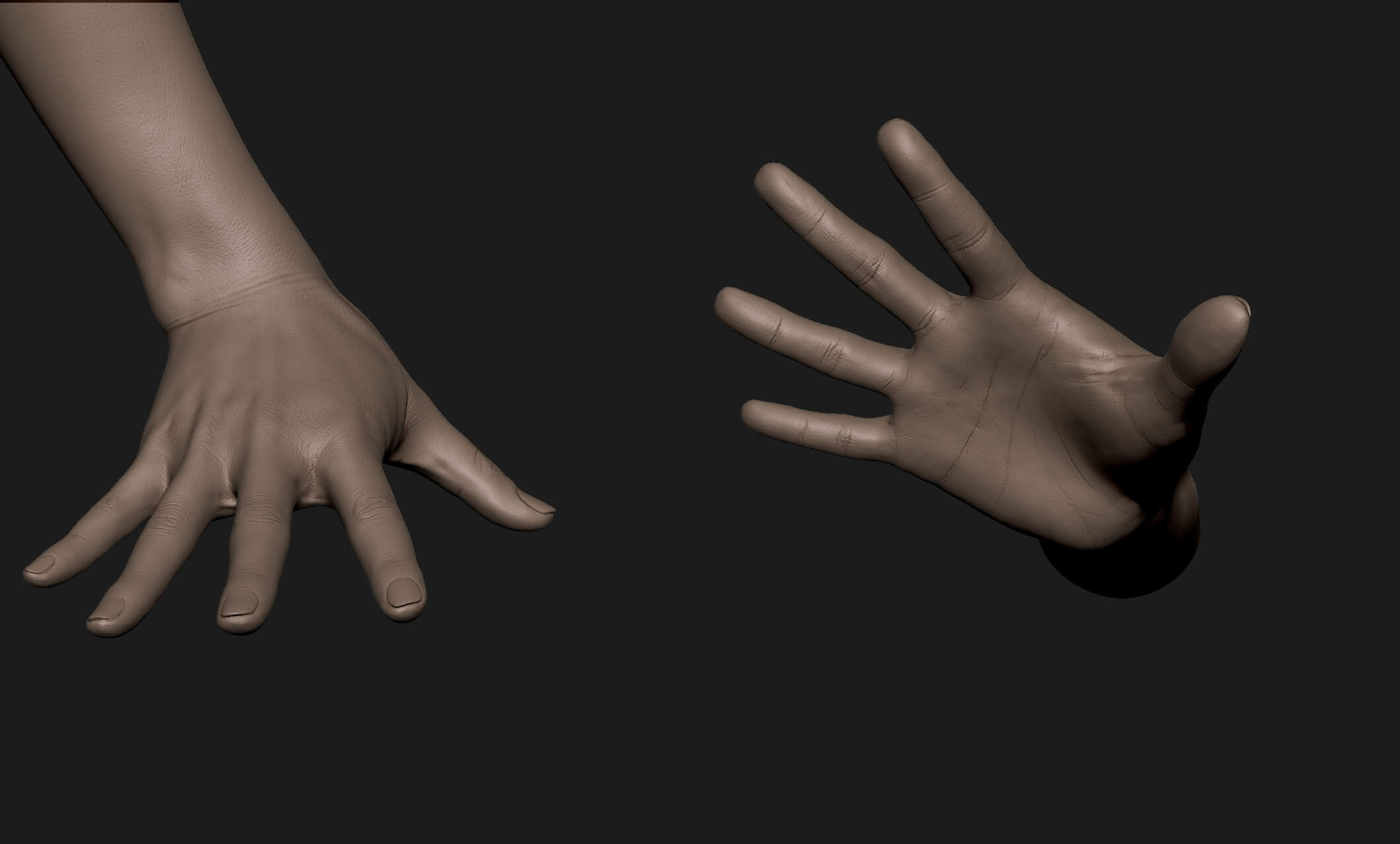 Realistic Female Hand 7 - 3D Print Model by grihaos001