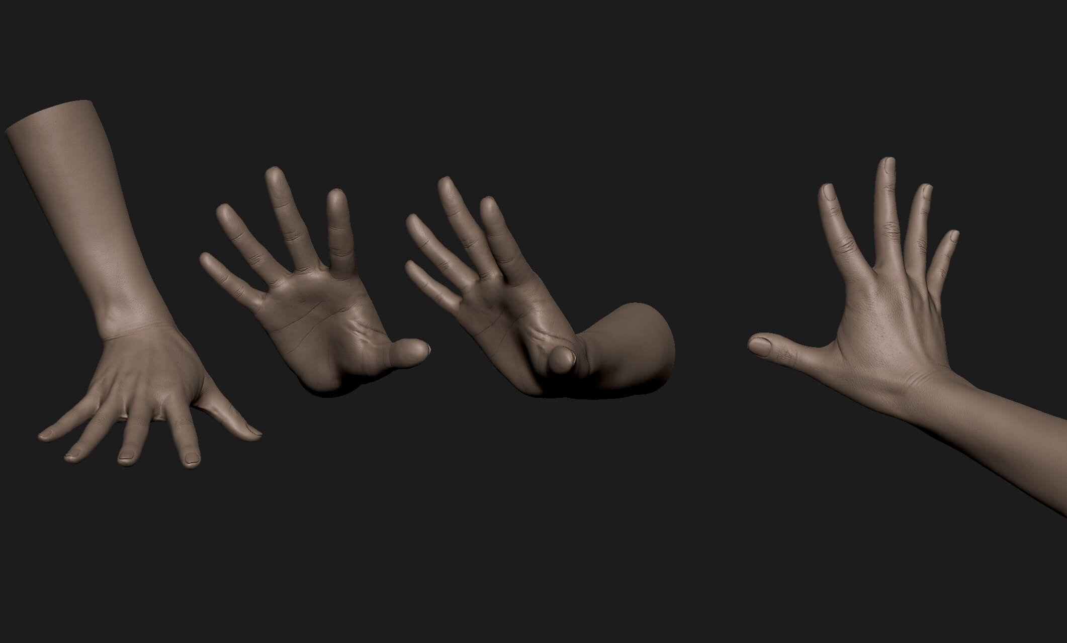 Realistic Female Hand 7 - 3D Print Model by grihaos001