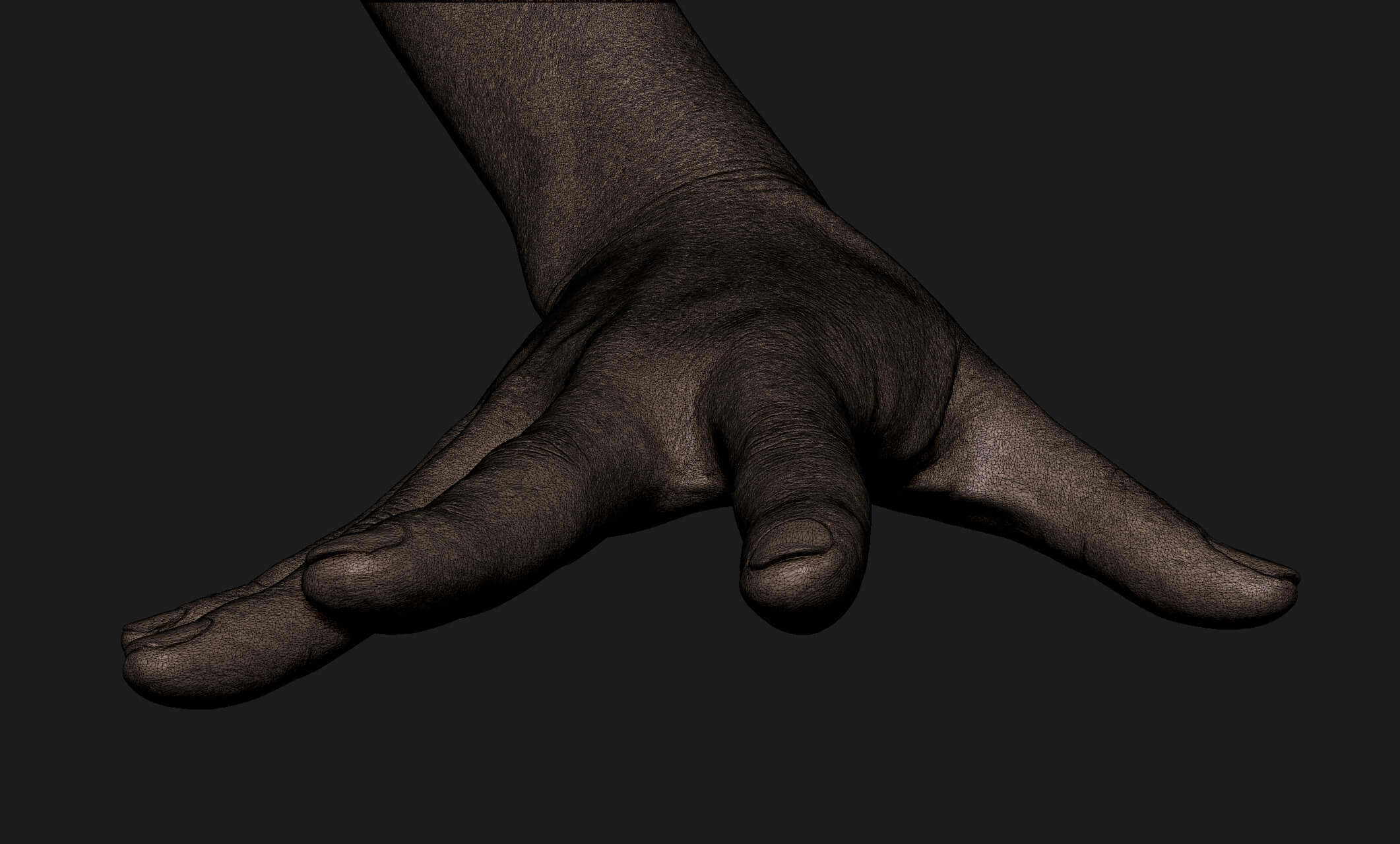 Realistic Female Hand 7 - 3D Model by grihaos001