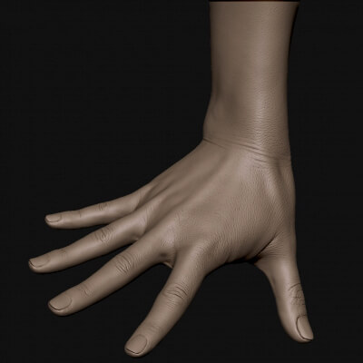Realistic Female Hand 7 - 3D Model by grihaos001