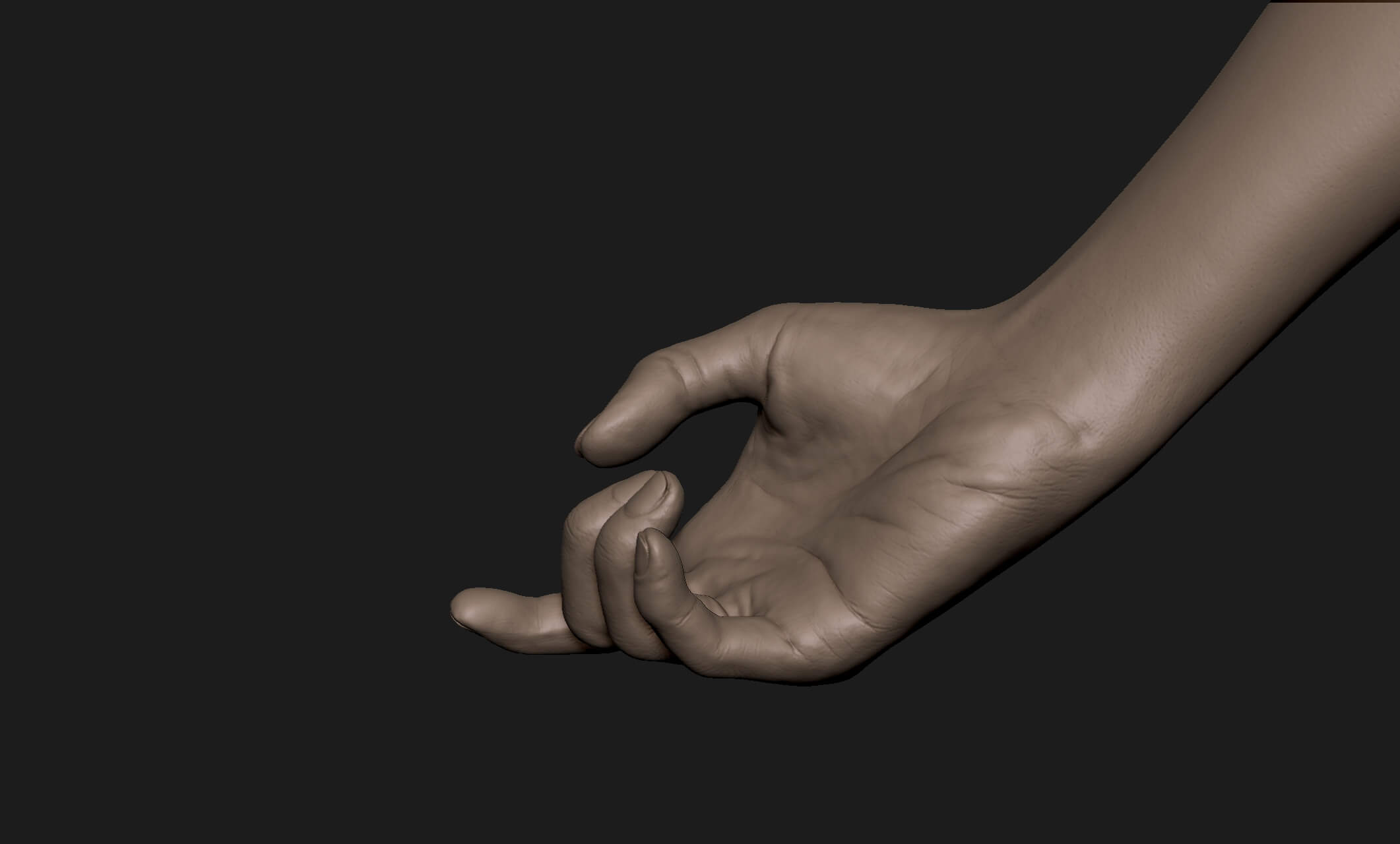 Realistic Female Hand 8 - 3D Model by grihaos001