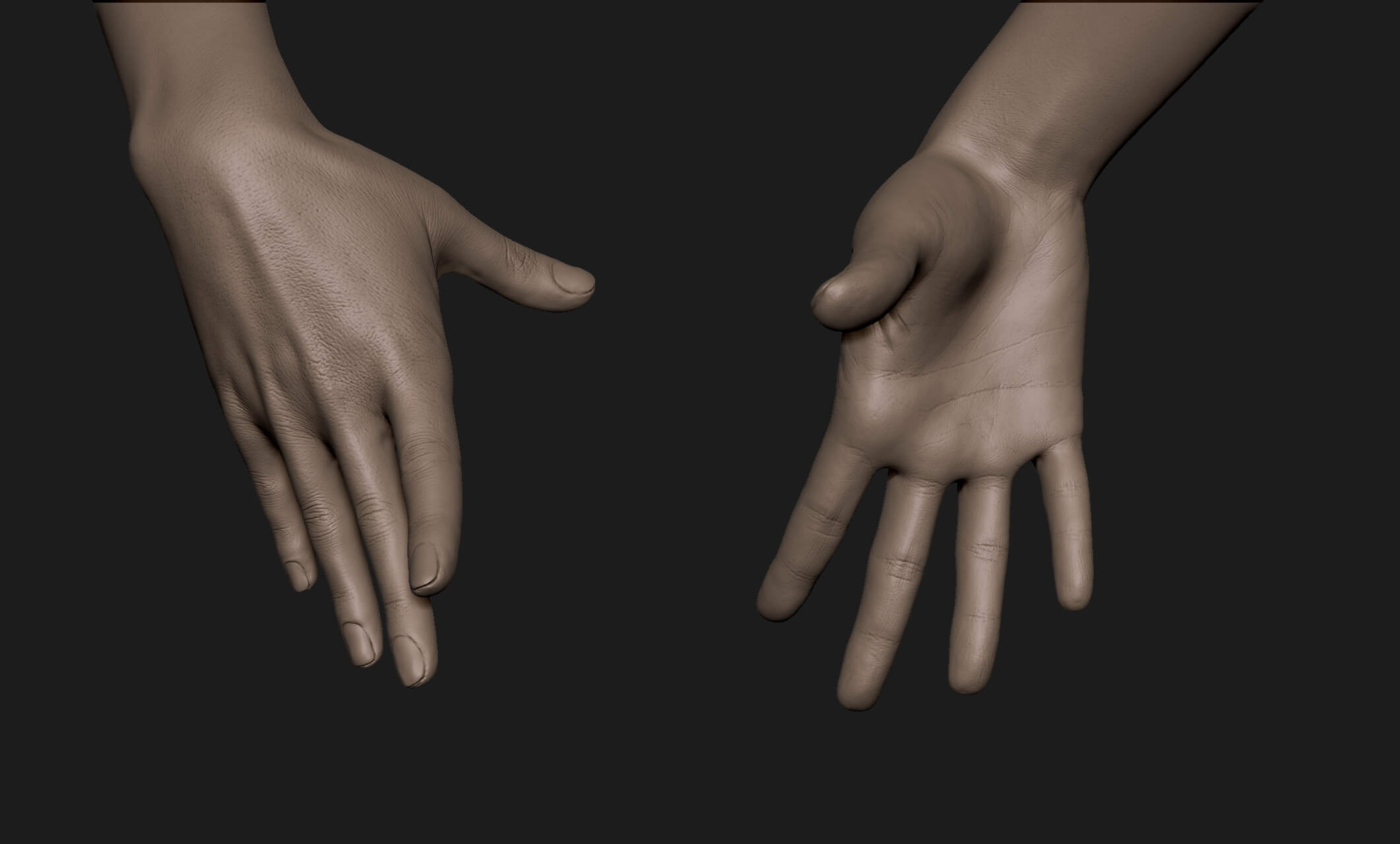 Realistic Female Hand 9 - 3D Print Model by grihaos001