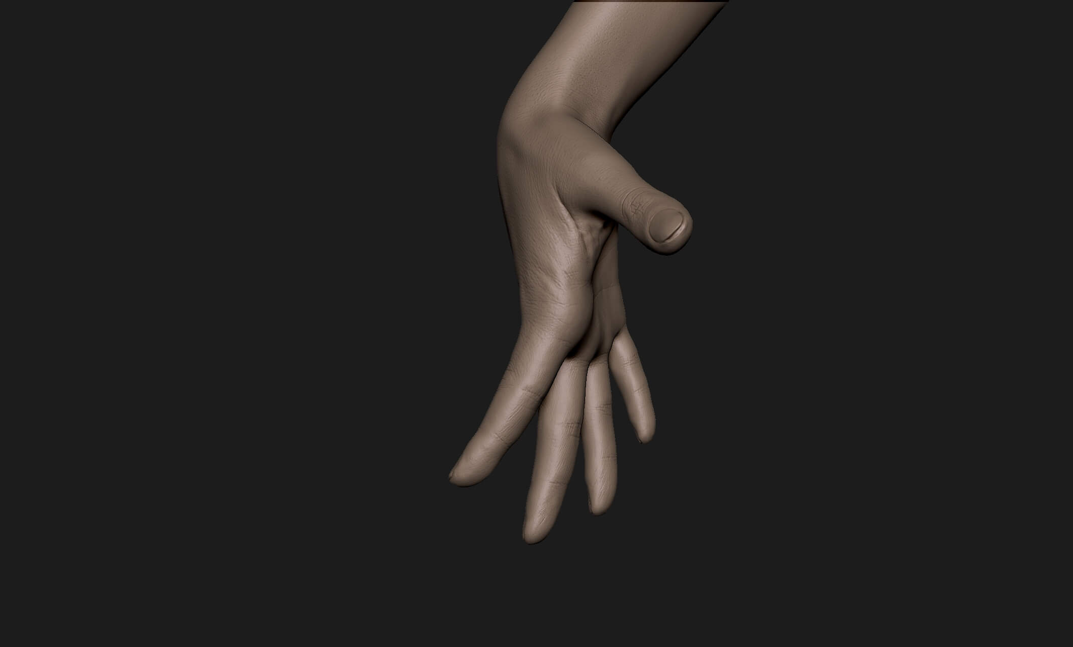 Realistic Female Hand 9 - 3D Model by grihaos001