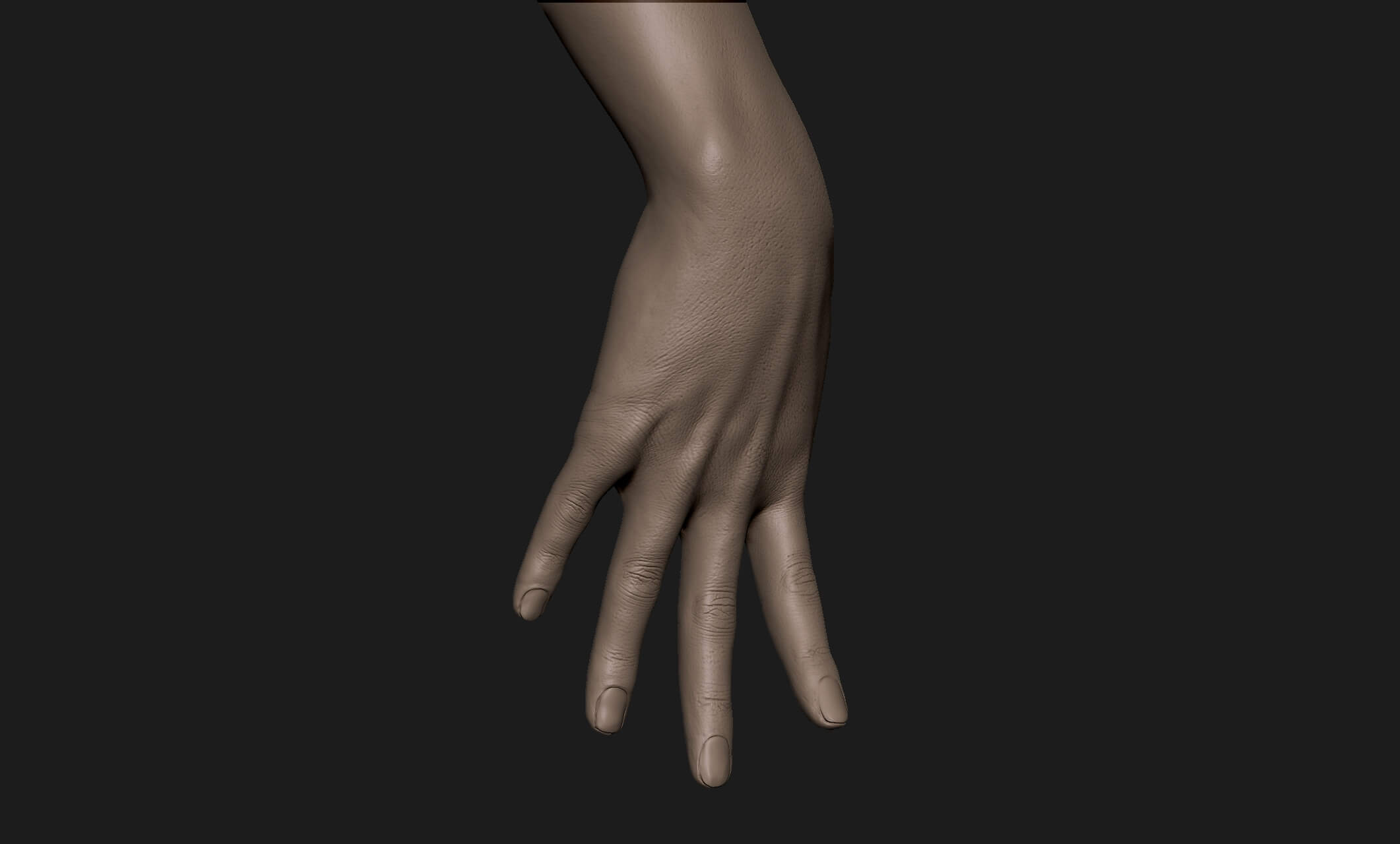 Realistic Female Hand 9 - 3D Model by grihaos001