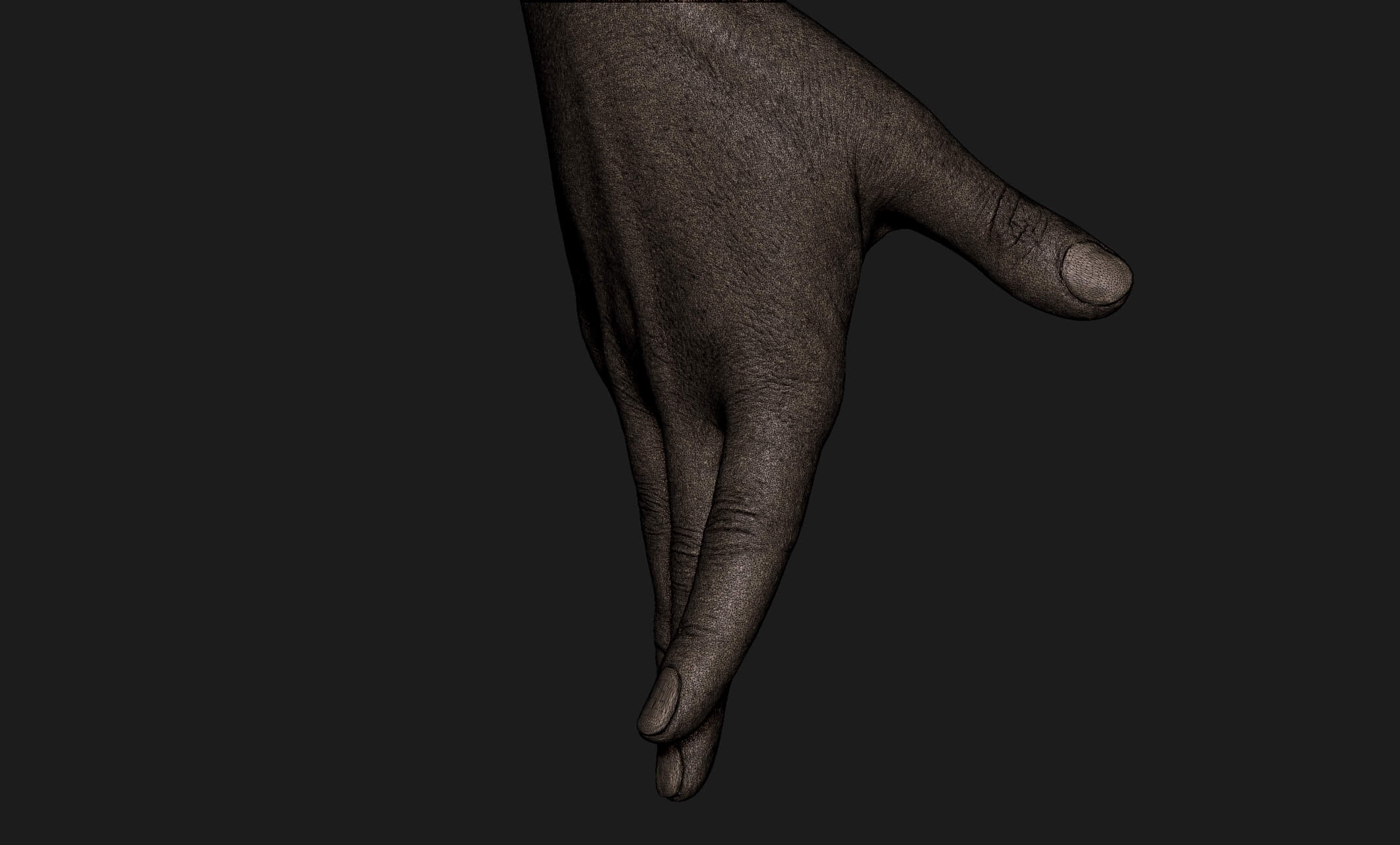Realistic Female Hand 9 - 3D Print Model by grihaos001