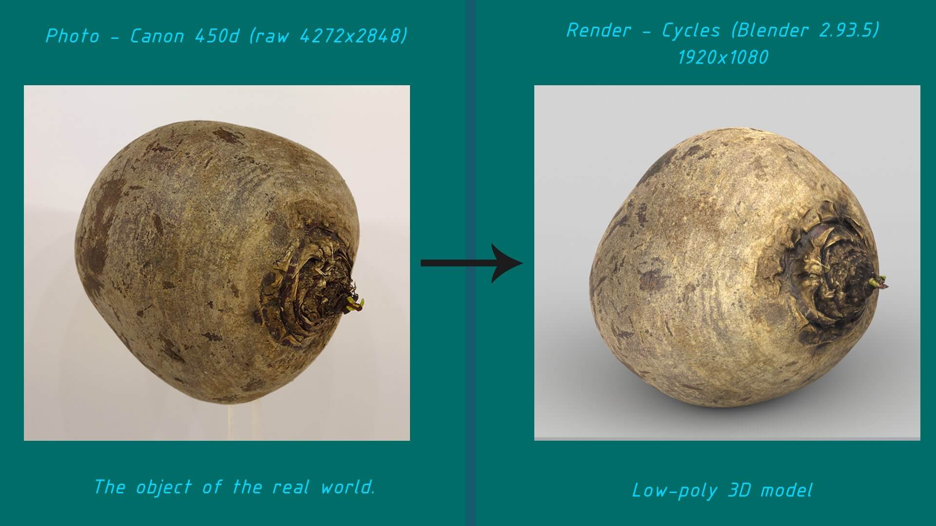 Beetroot - 3D Model by Grishmanovskij Anton