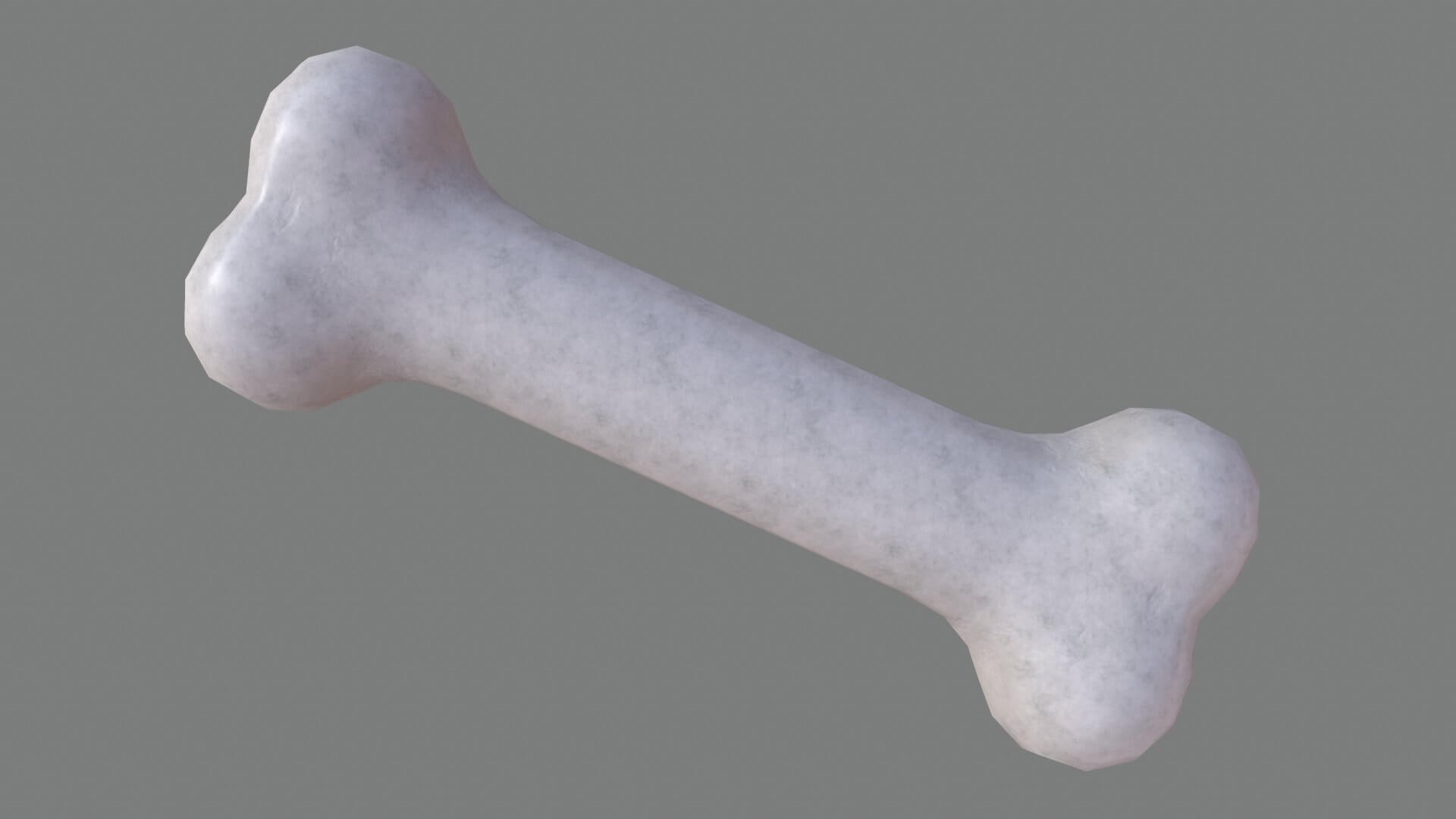 Dog Bone V2 - 3D Model by Grishmanovskij Anton