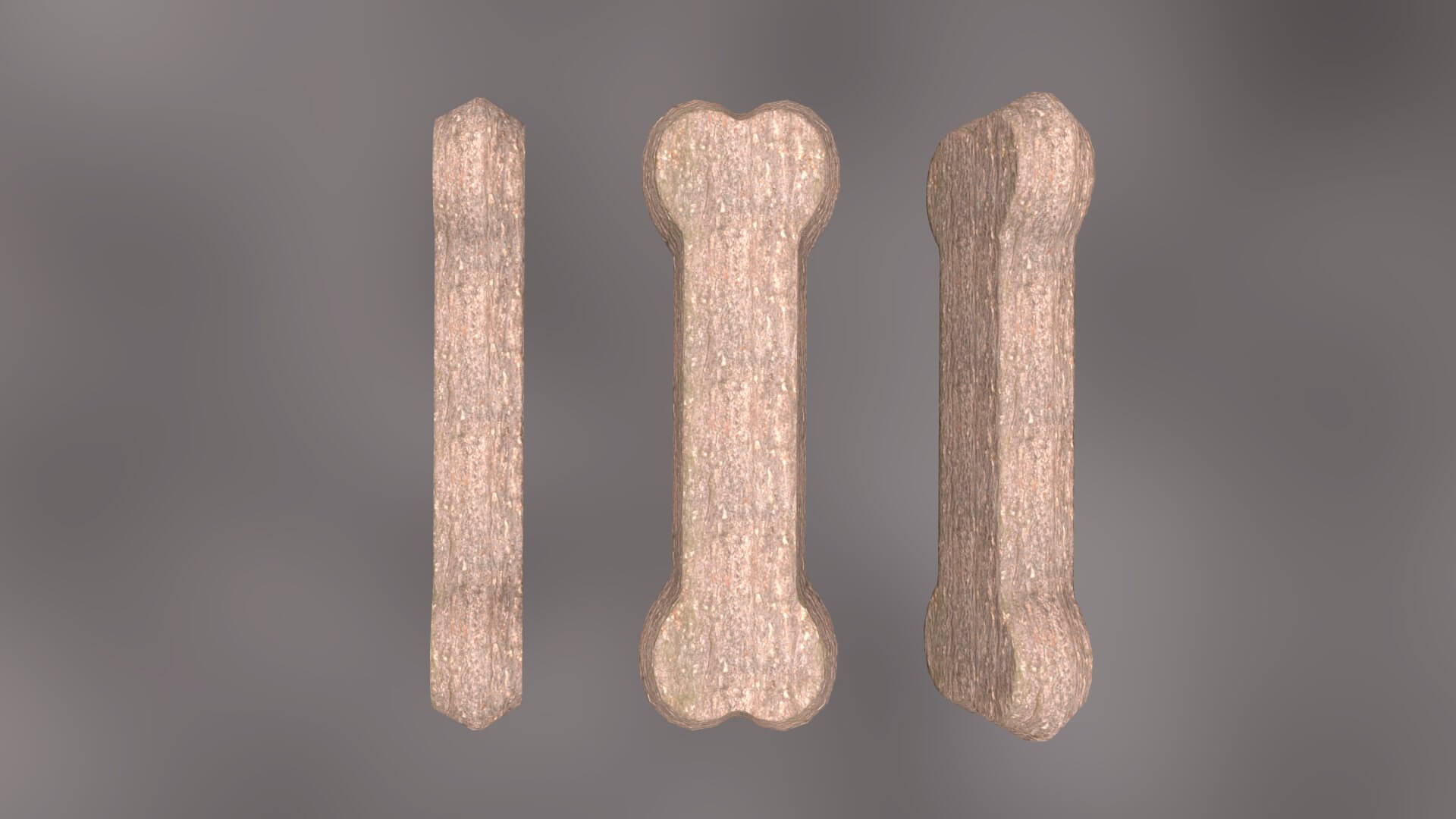 Dog Bone - 3D Model by Grishmanovskij Anton