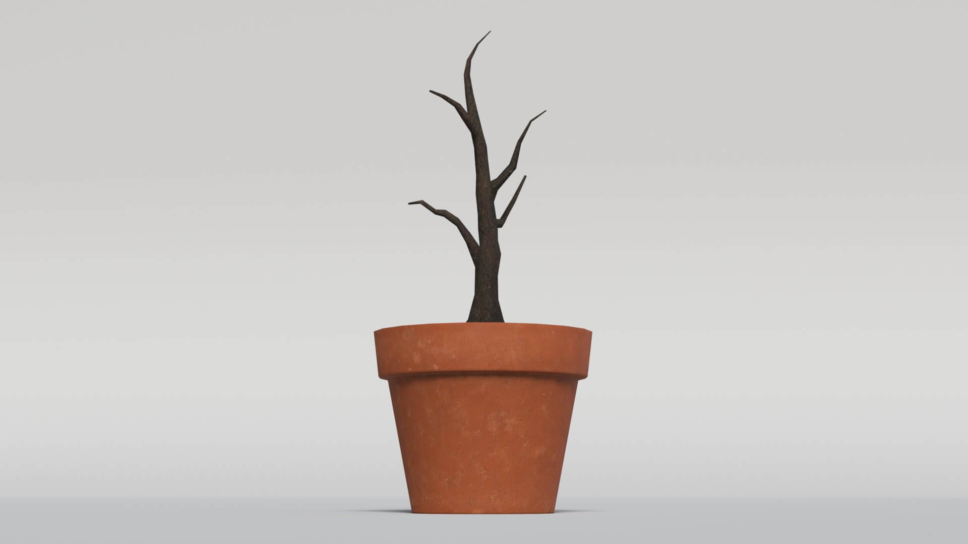 Dried Plant in A Pot - 3D Model by Grishmanovskij Anton