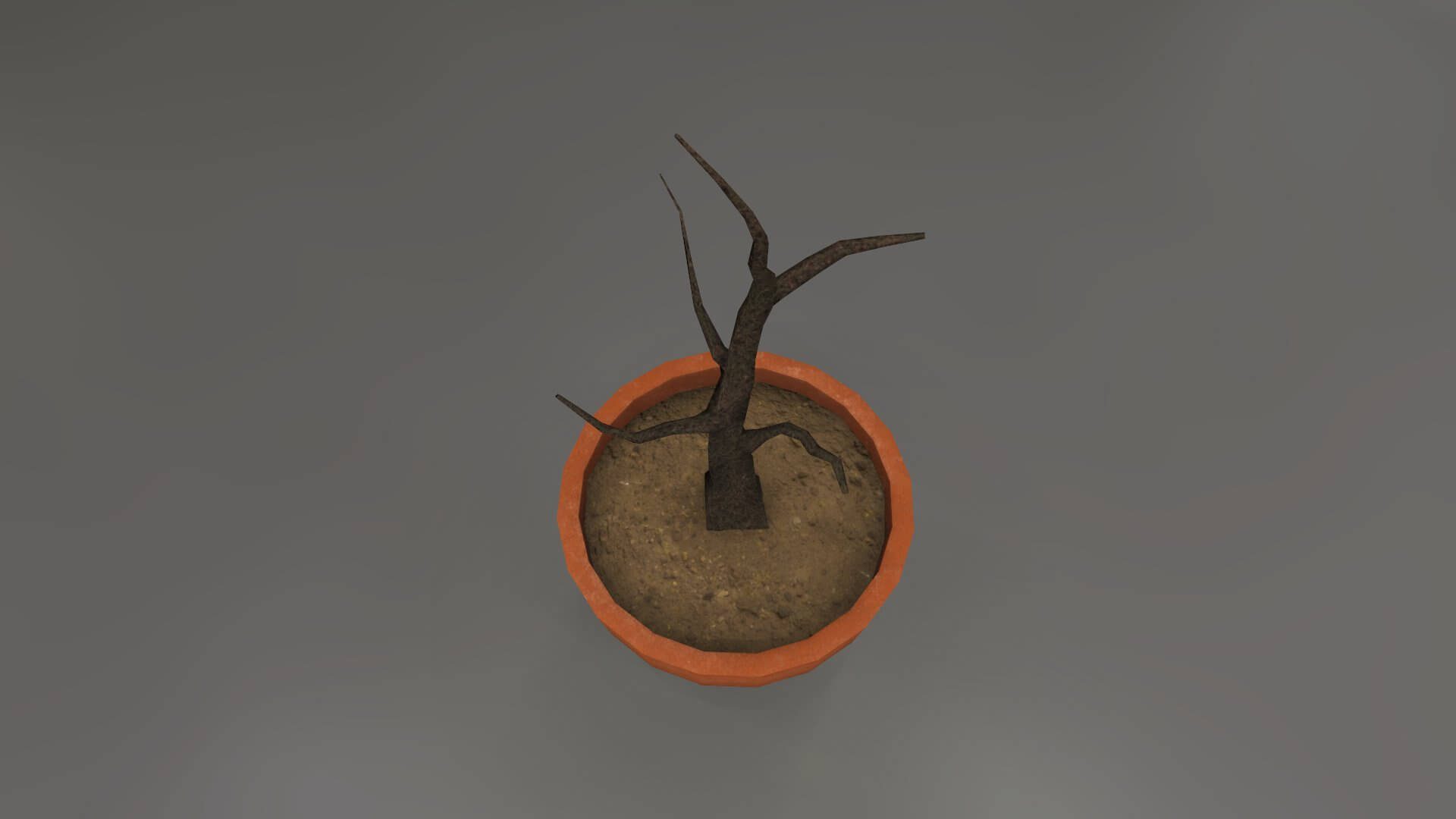 Dried Plant in A Pot - 3D Model by Grishmanovskij Anton