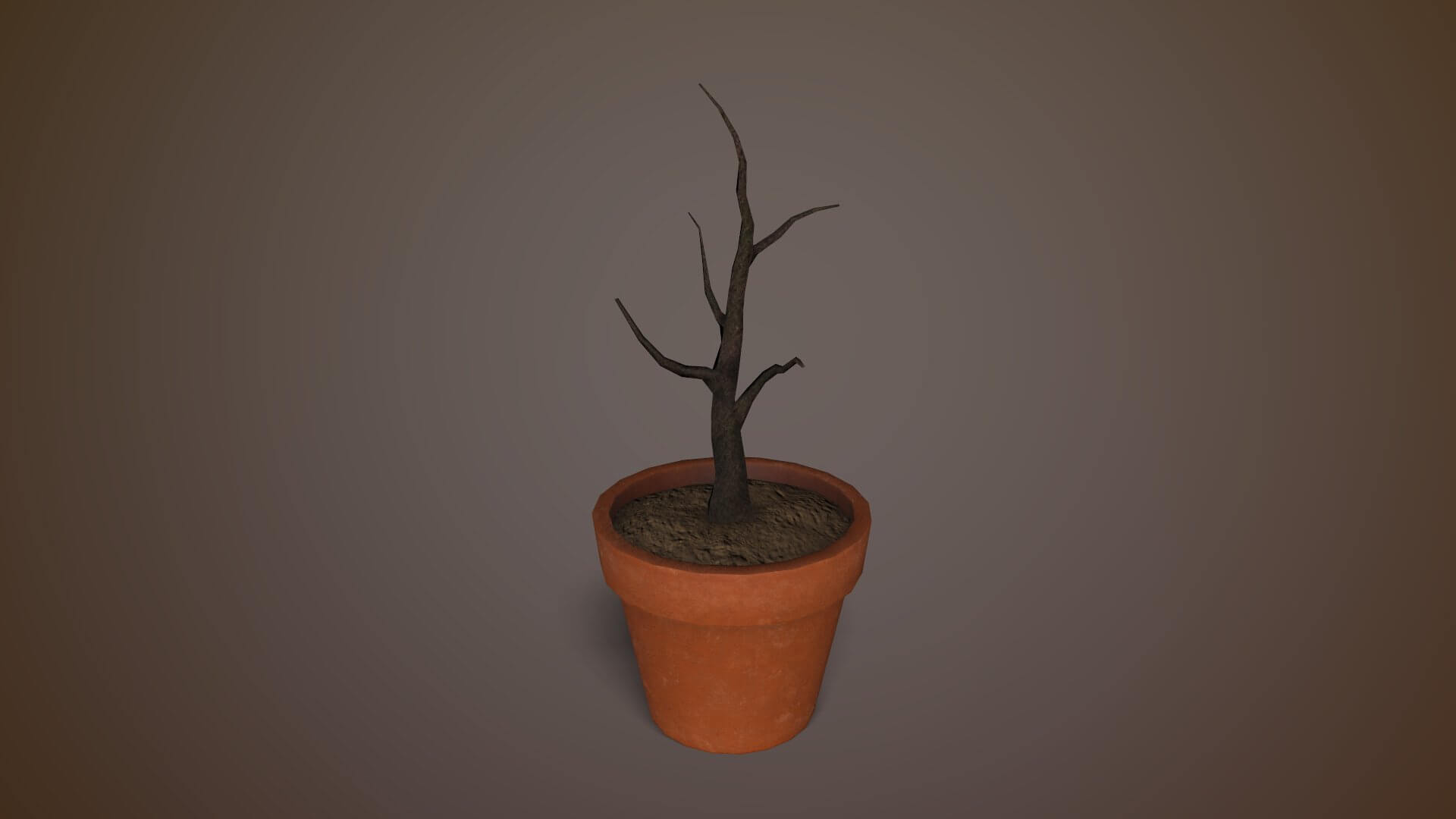 Dried Plant in A Pot - 3D Model by Grishmanovskij Anton