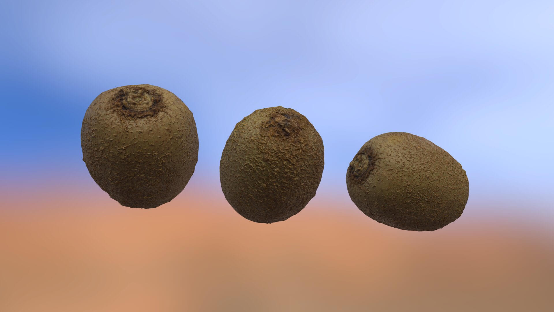 Kiwi Fruit - 3D Model by Grishmanovskij Anton