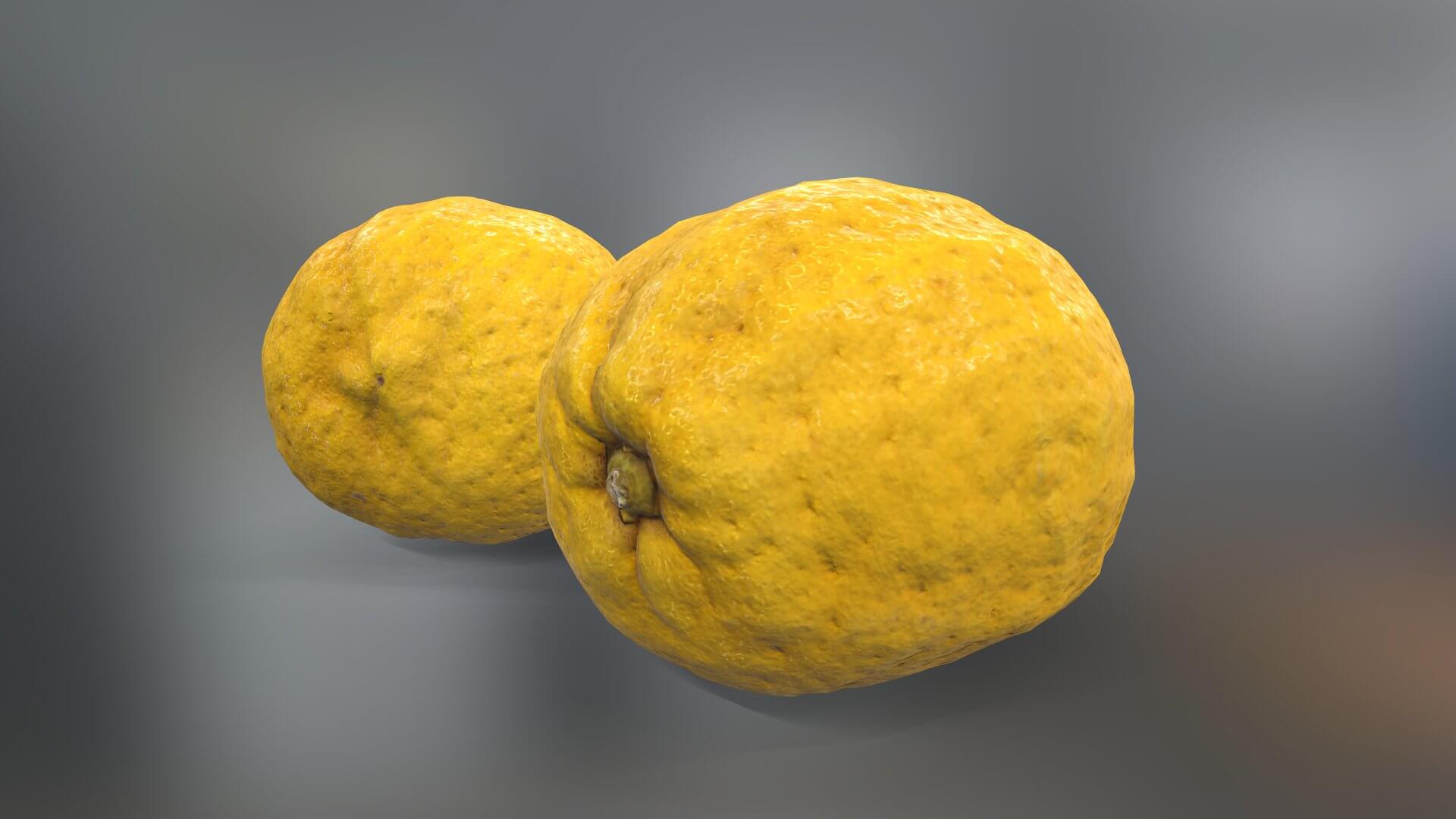 Lemon - 3D Model by Grishmanovskij Anton