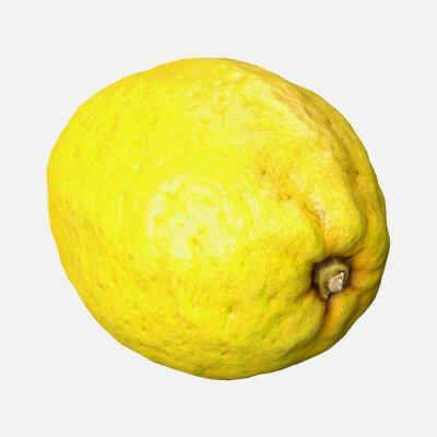 Lemon - 3D Model by Grishmanovskij Anton