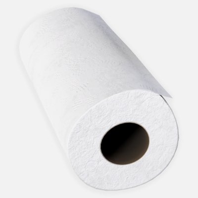 Paper Towel - 3D Model by Grishmanovskij Anton