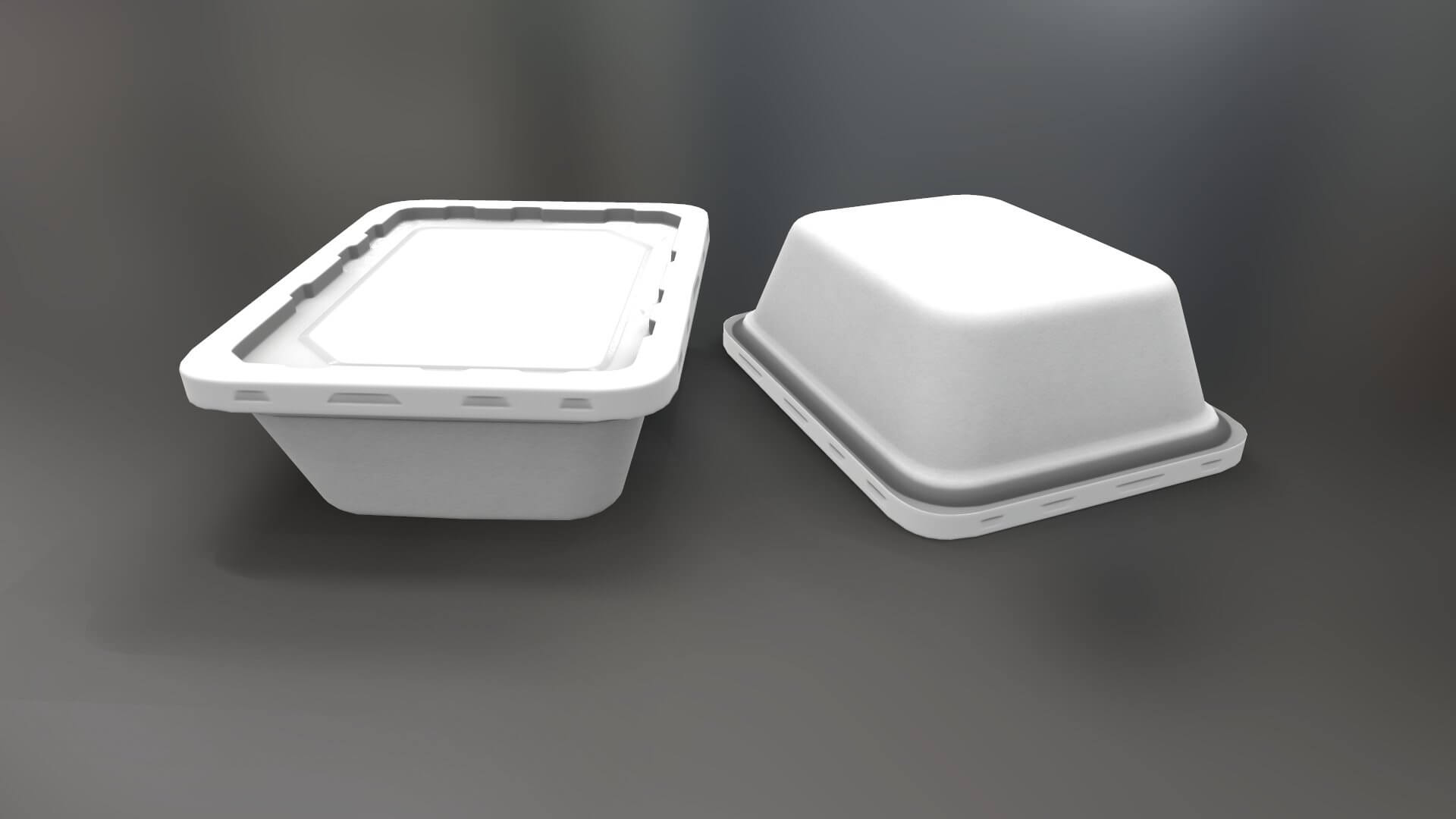 Plastic Container - 3D Model by Grishmanovskij Anton