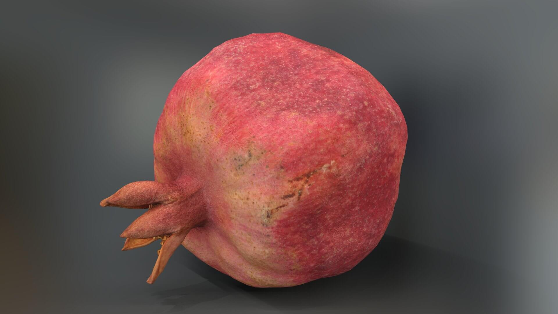 Pomegranate - 3D Model by Grishmanovskij Anton