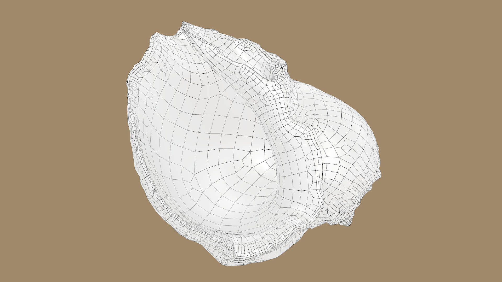 Sea Shell - 3D Model by Grishmanovskij Anton