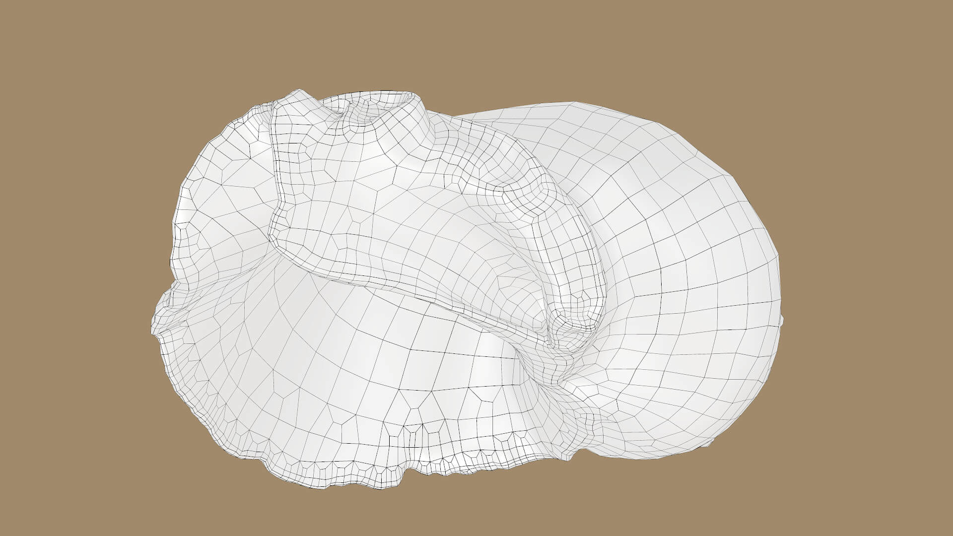 Sea Shell - 3D Model by Grishmanovskij Anton