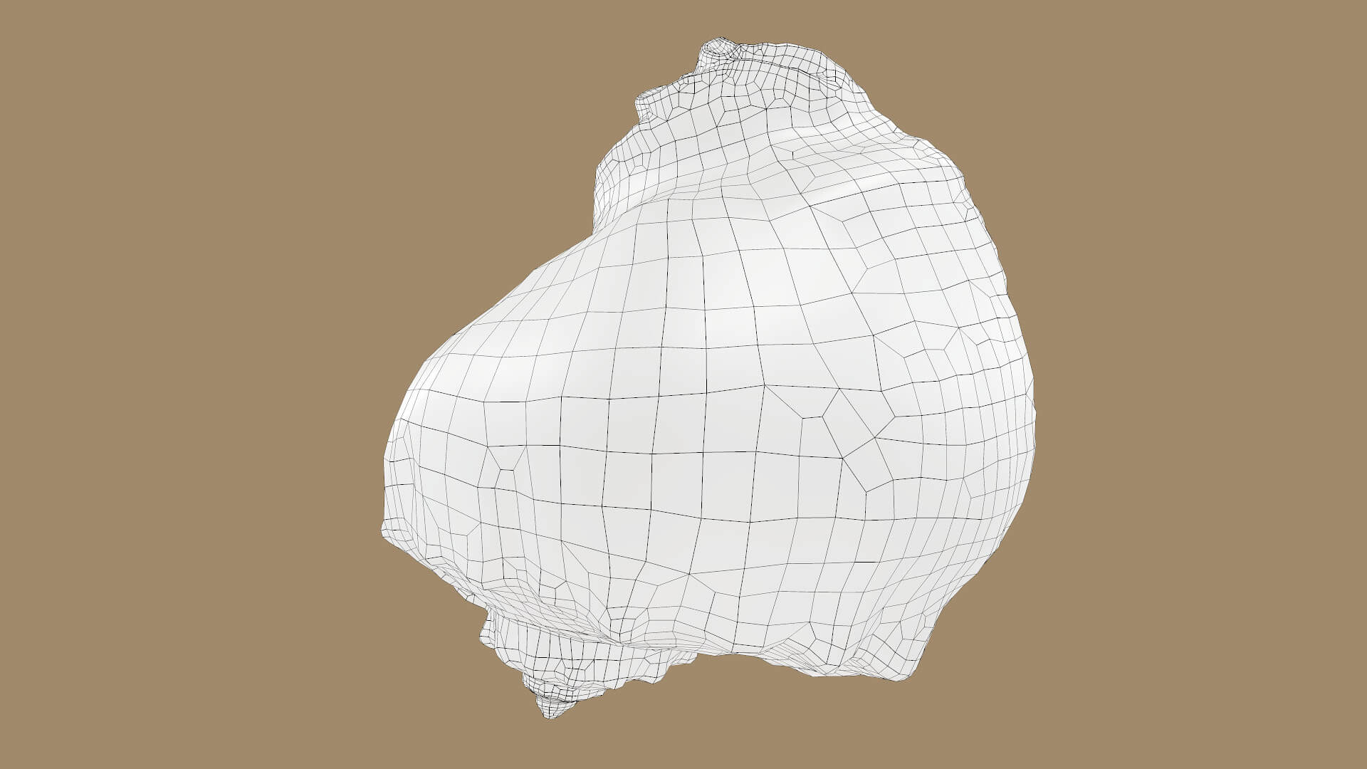 Sea Shell - 3D Model by Grishmanovskij Anton