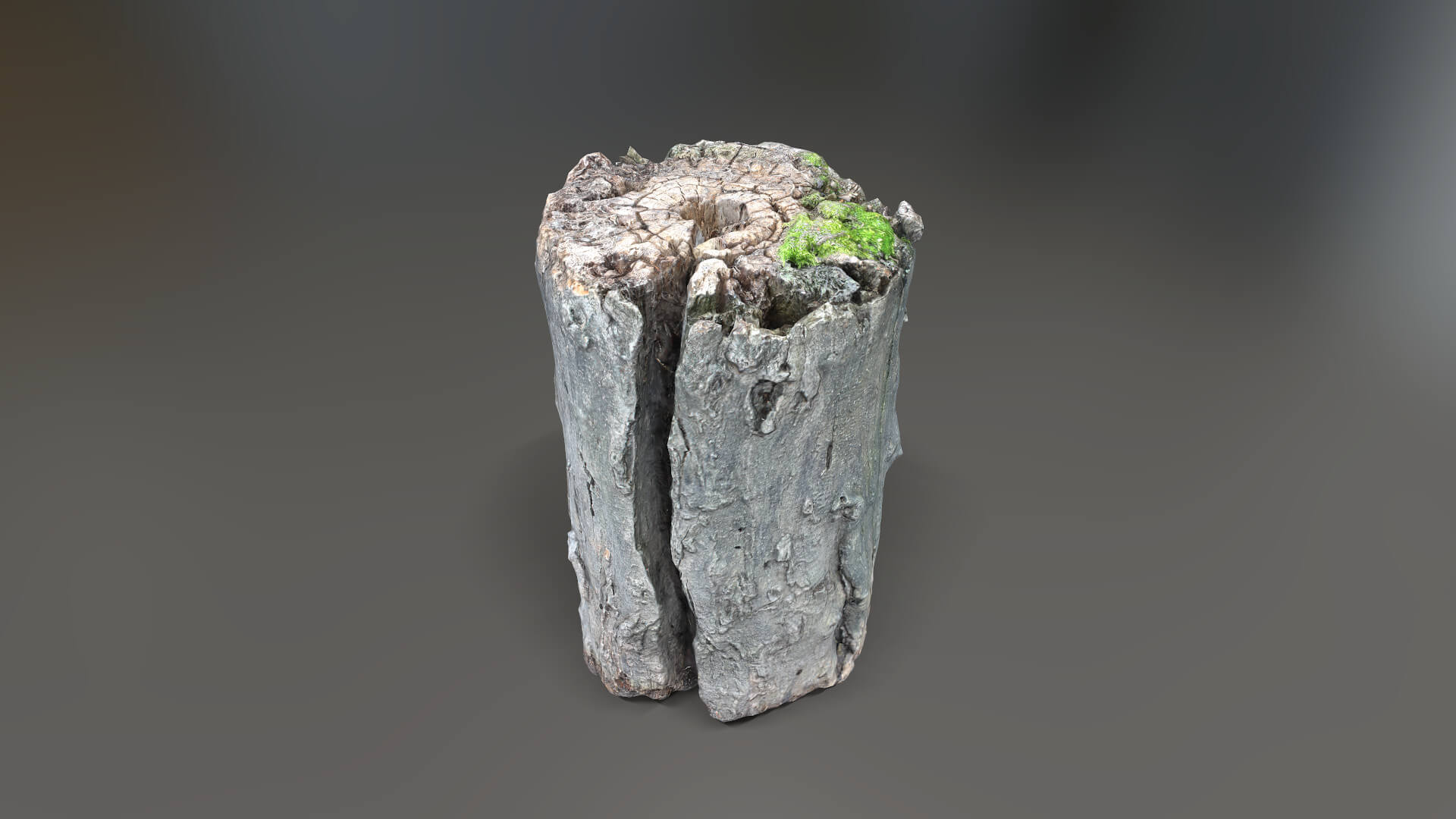 Tree Stump V2 - 3D Model by Grishmanovskij Anton