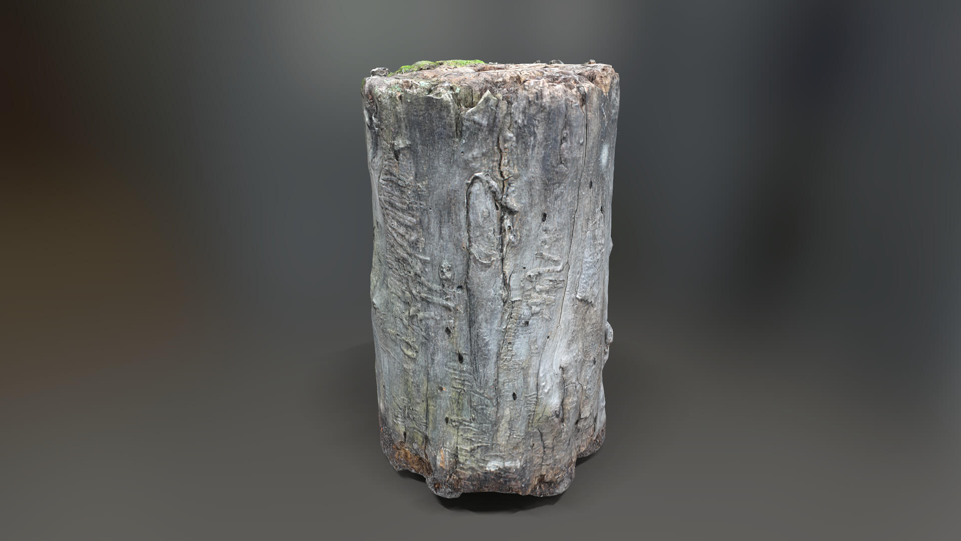 Tree Stump V2 - 3D Model by Grishmanovskij Anton