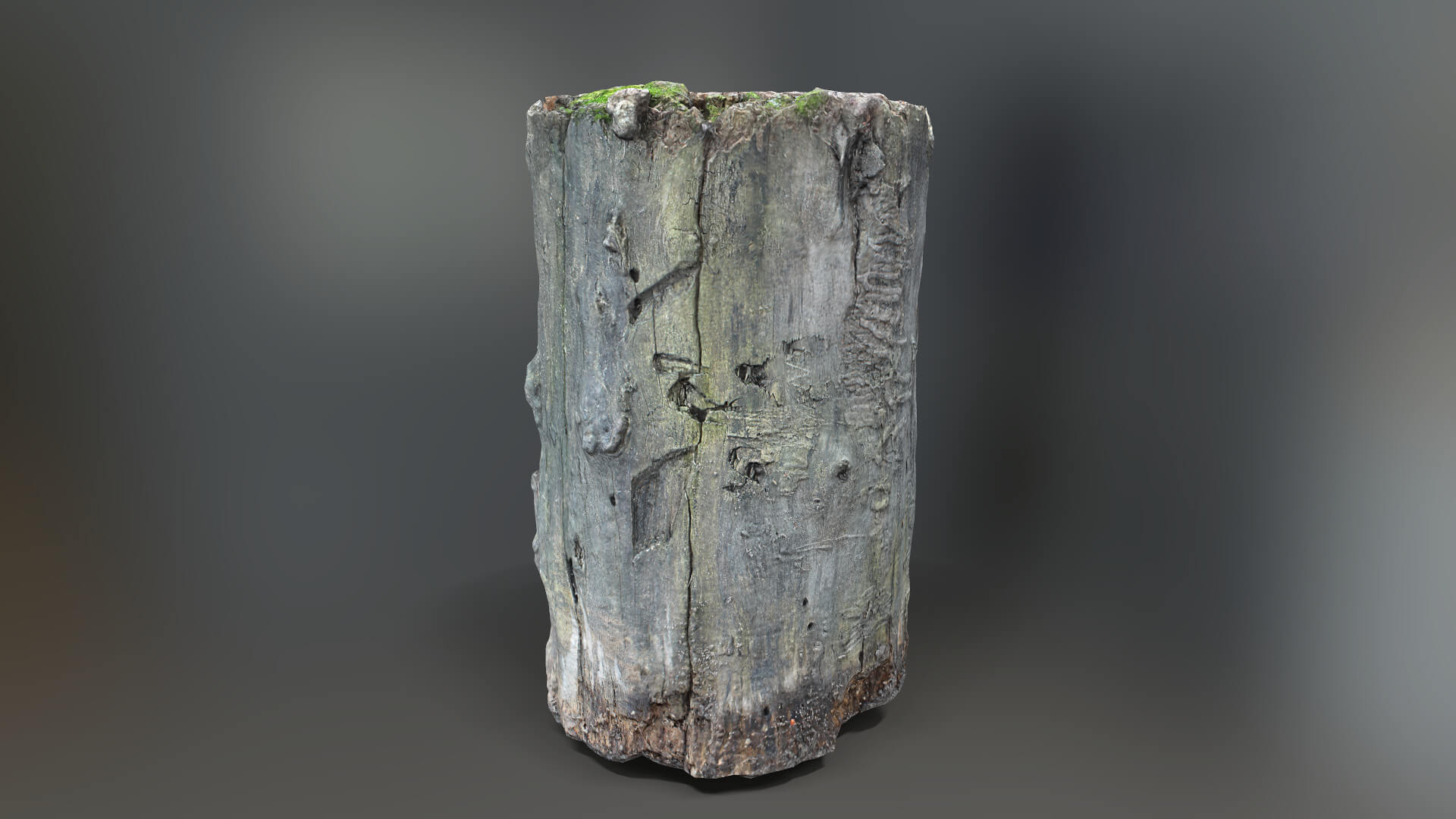 Tree Stump V2 - 3D Model by Grishmanovskij Anton