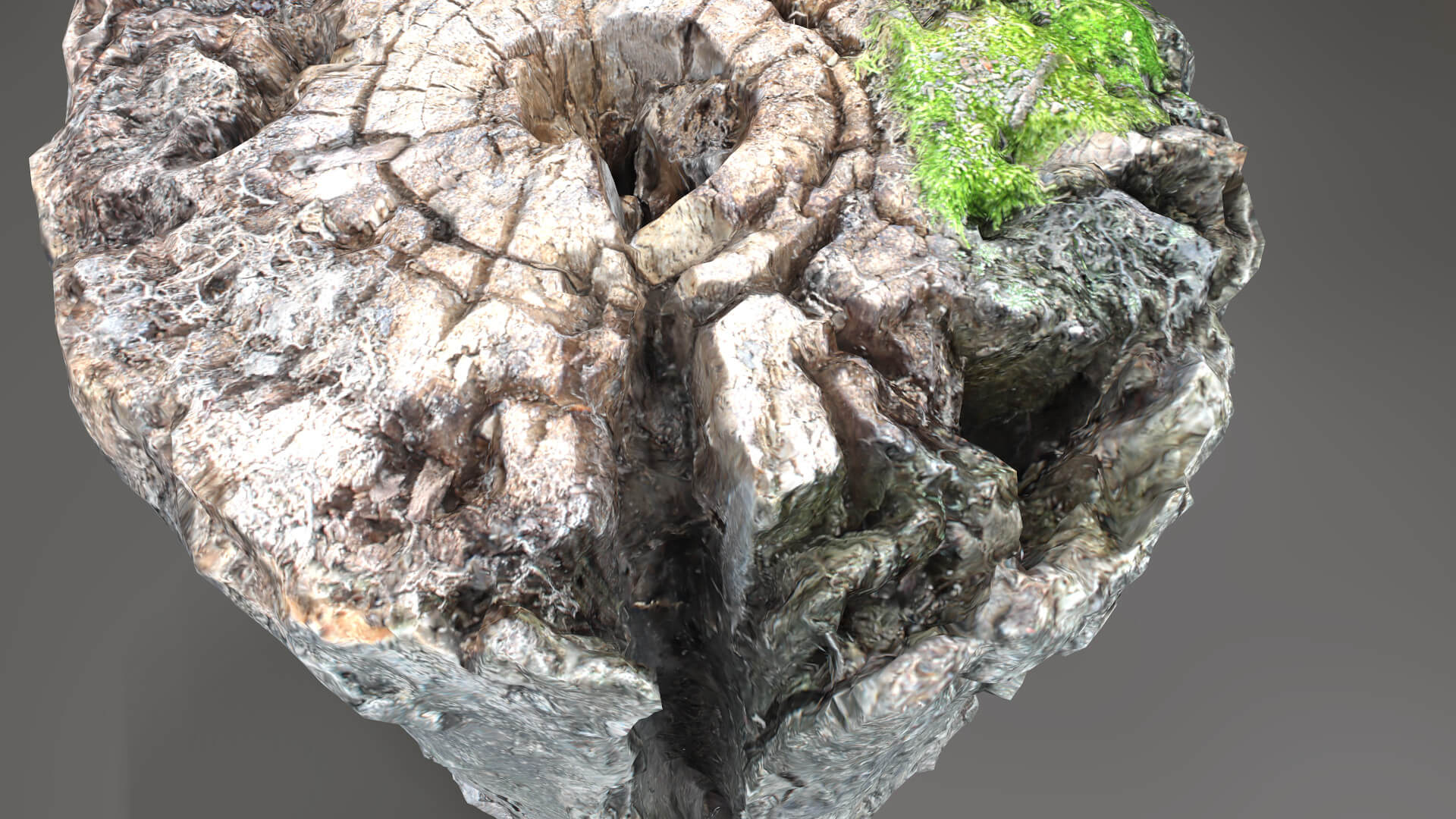 Tree Stump V2 - 3D Model by Grishmanovskij Anton