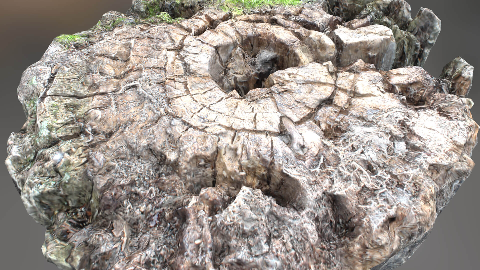 Tree Stump V2 - 3D Model by Grishmanovskij Anton