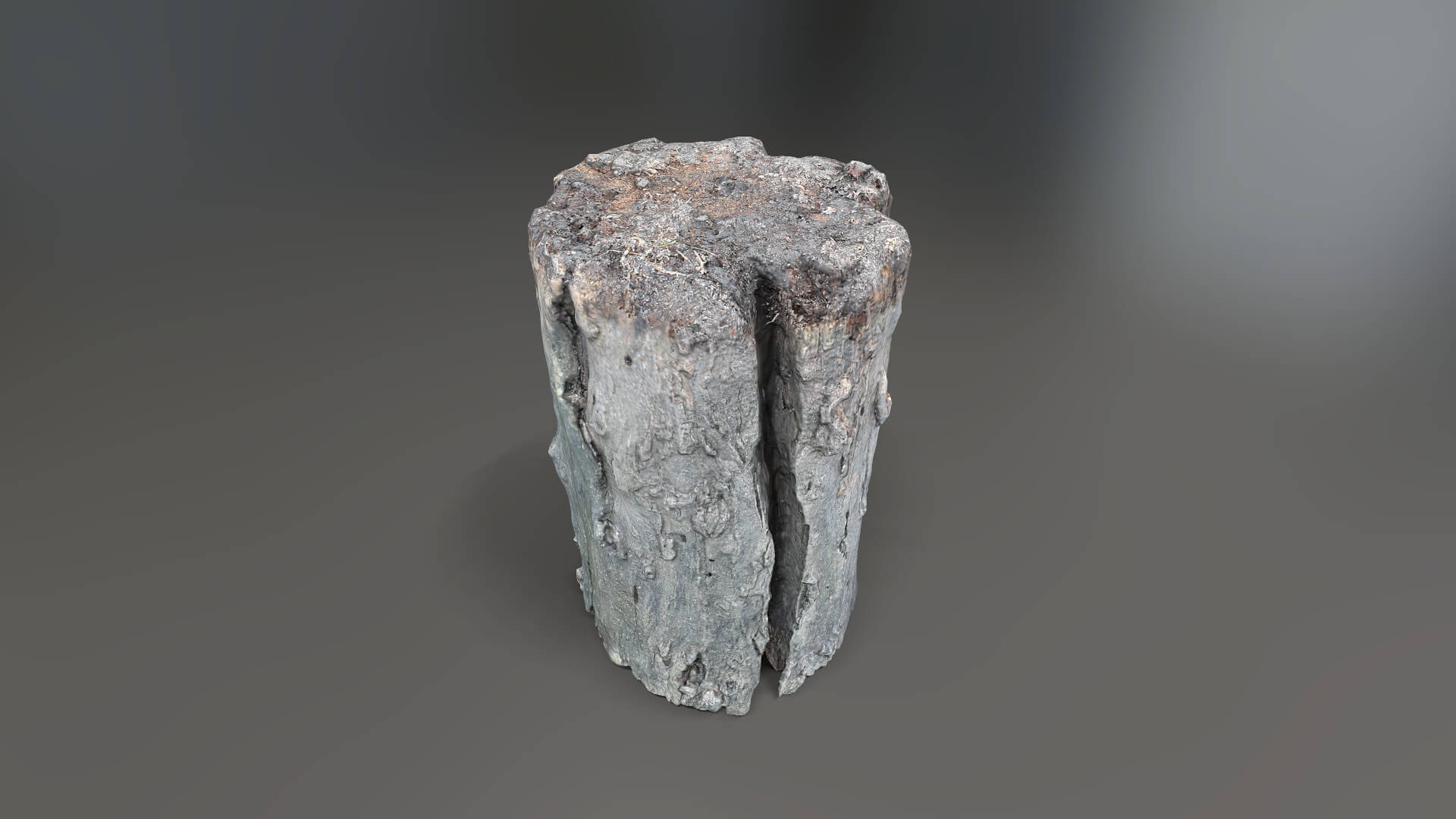 Tree Stump V2 - 3D Model by Grishmanovskij Anton